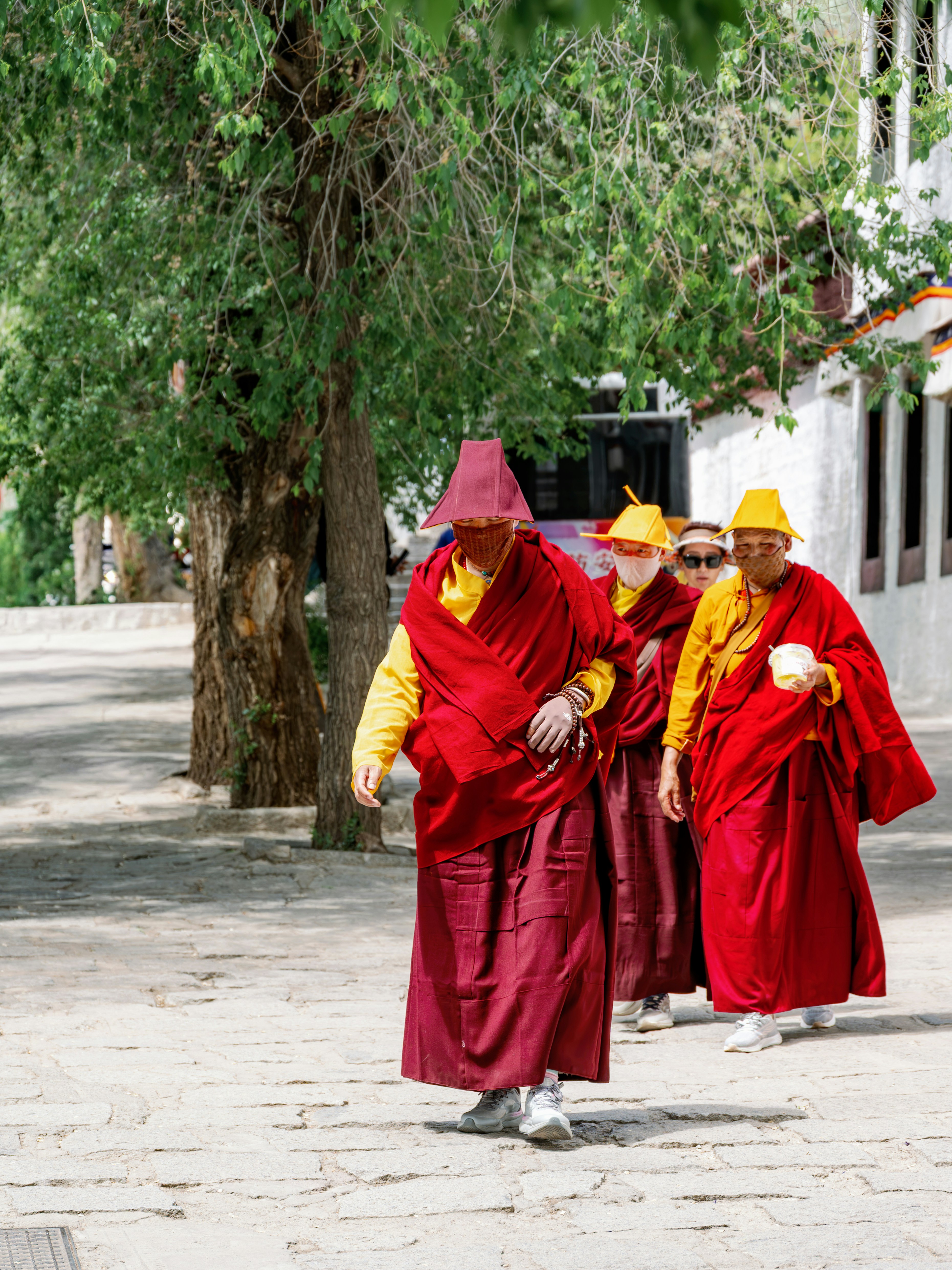 Red-robed Monks On a Shaded Village Path