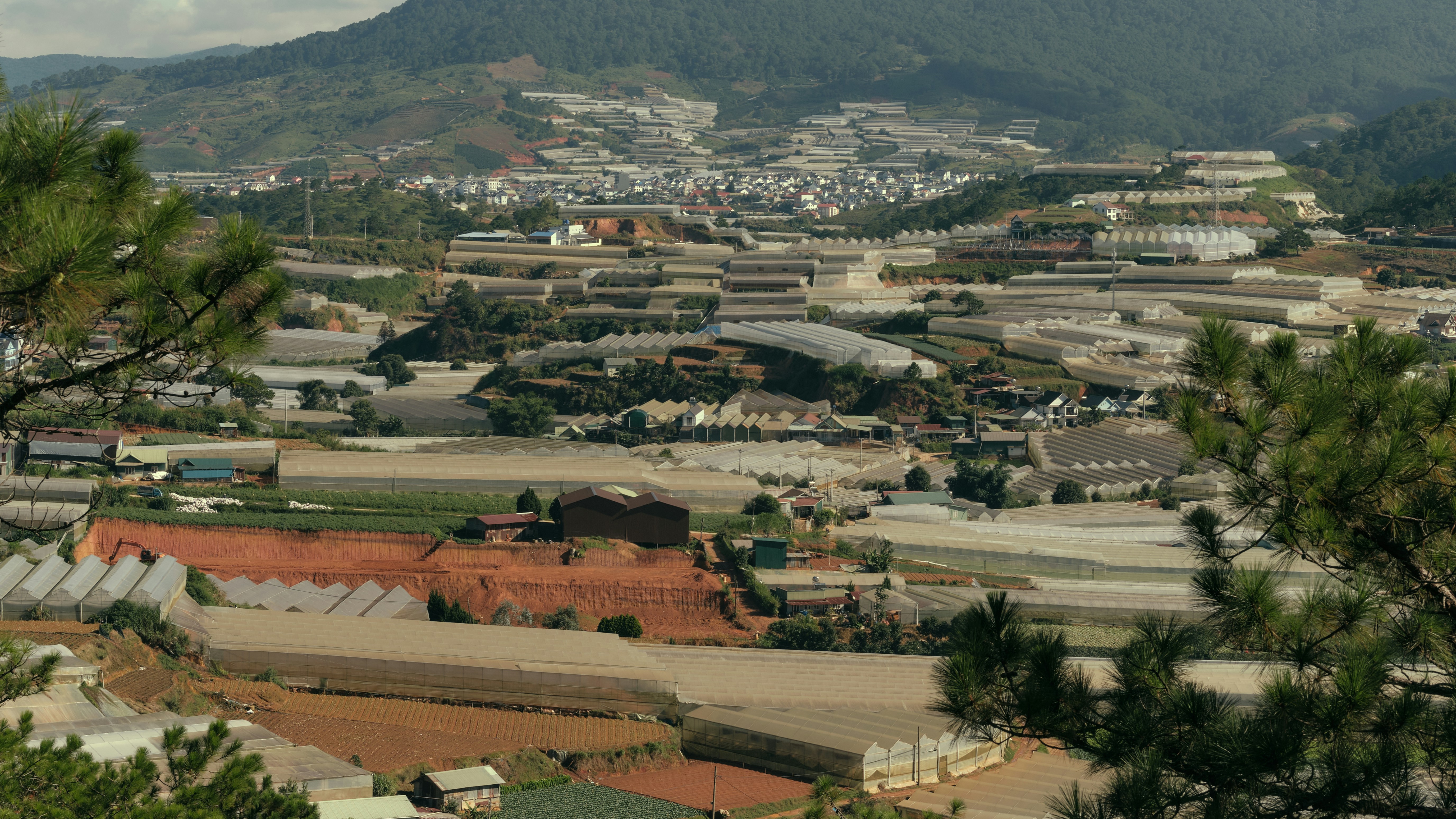 Terraced Valley of Quiet Harvests