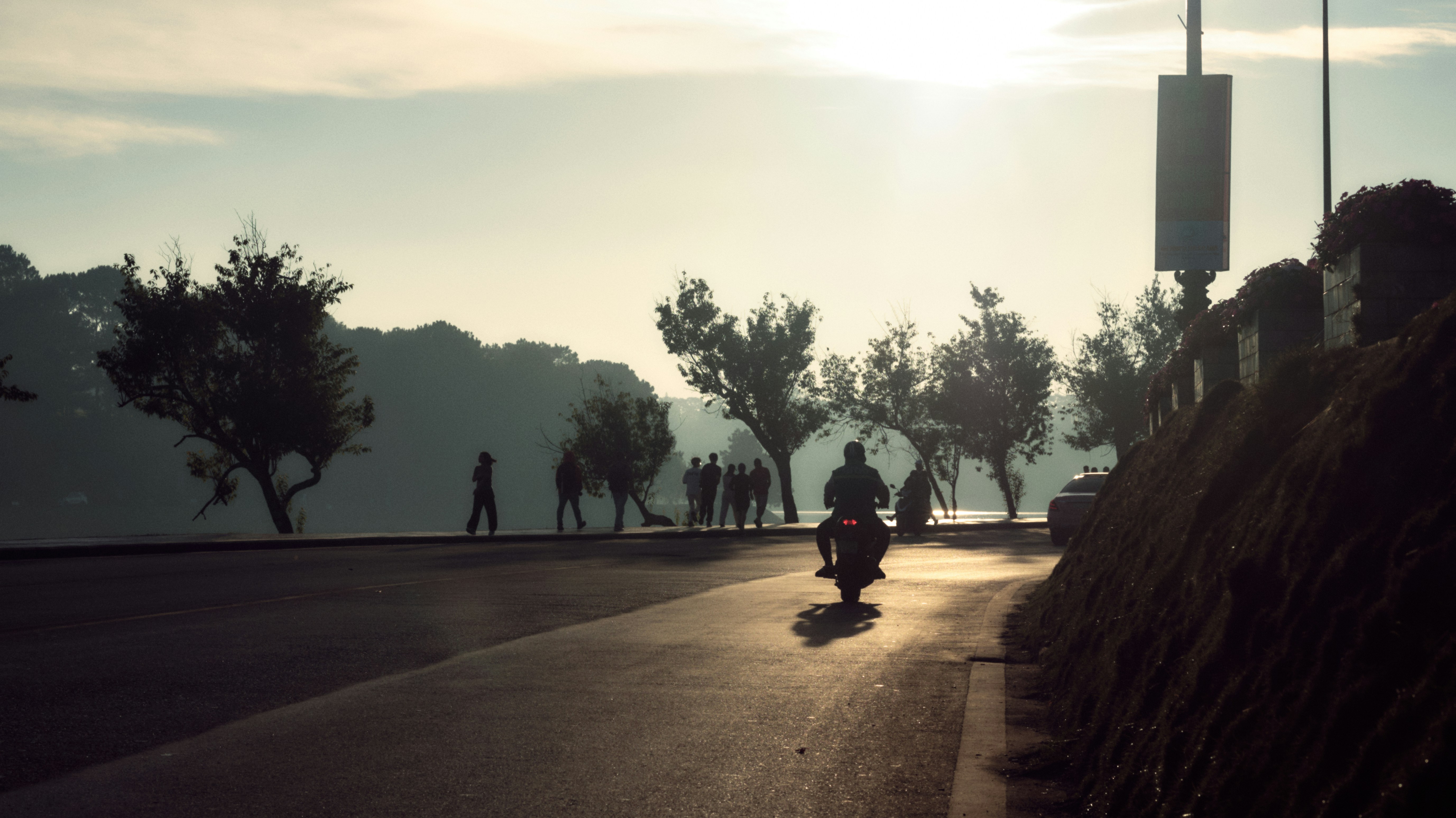 Shadows on the Coastal Switchback