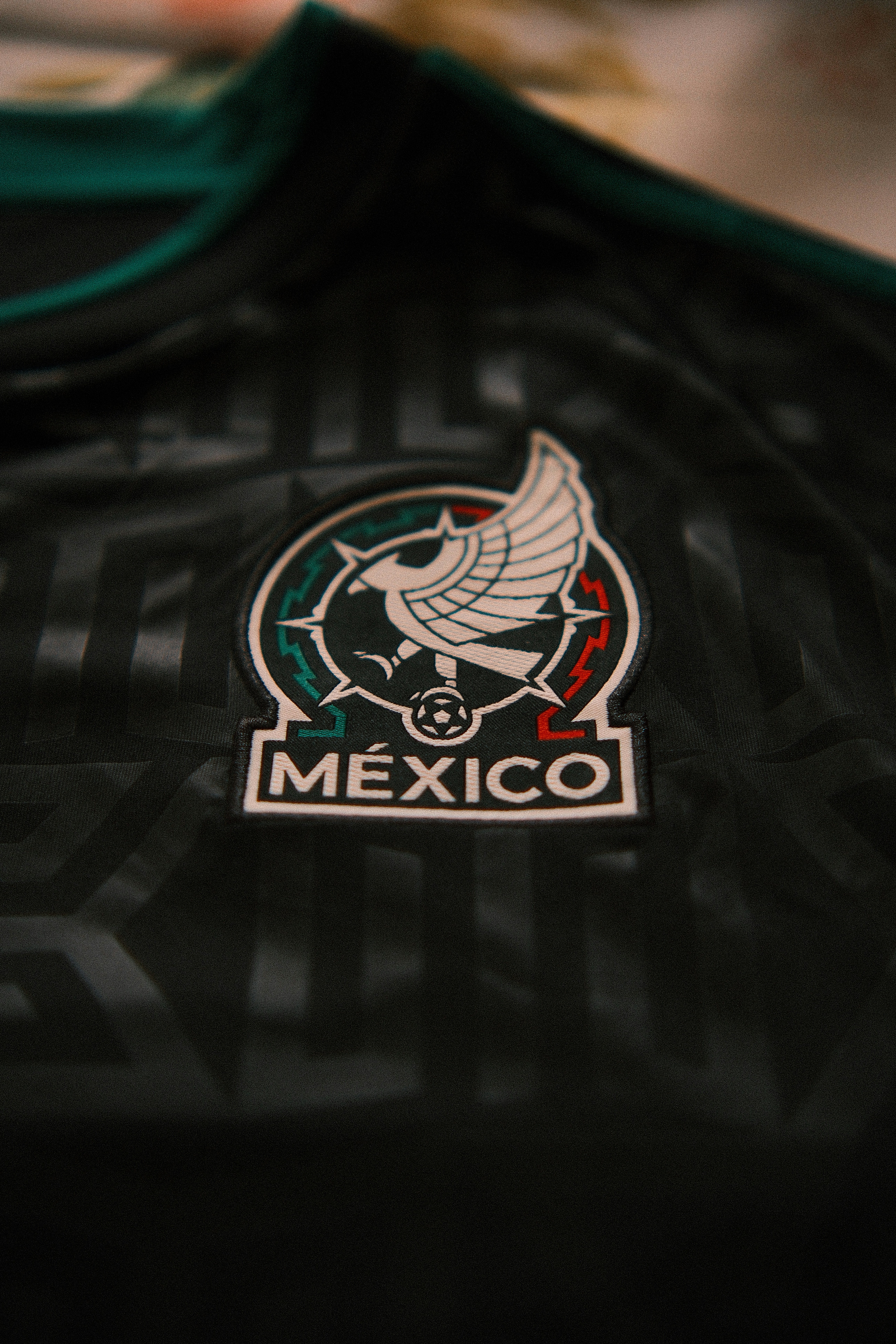 Winged emblem of Mexico: a close-up on the crest