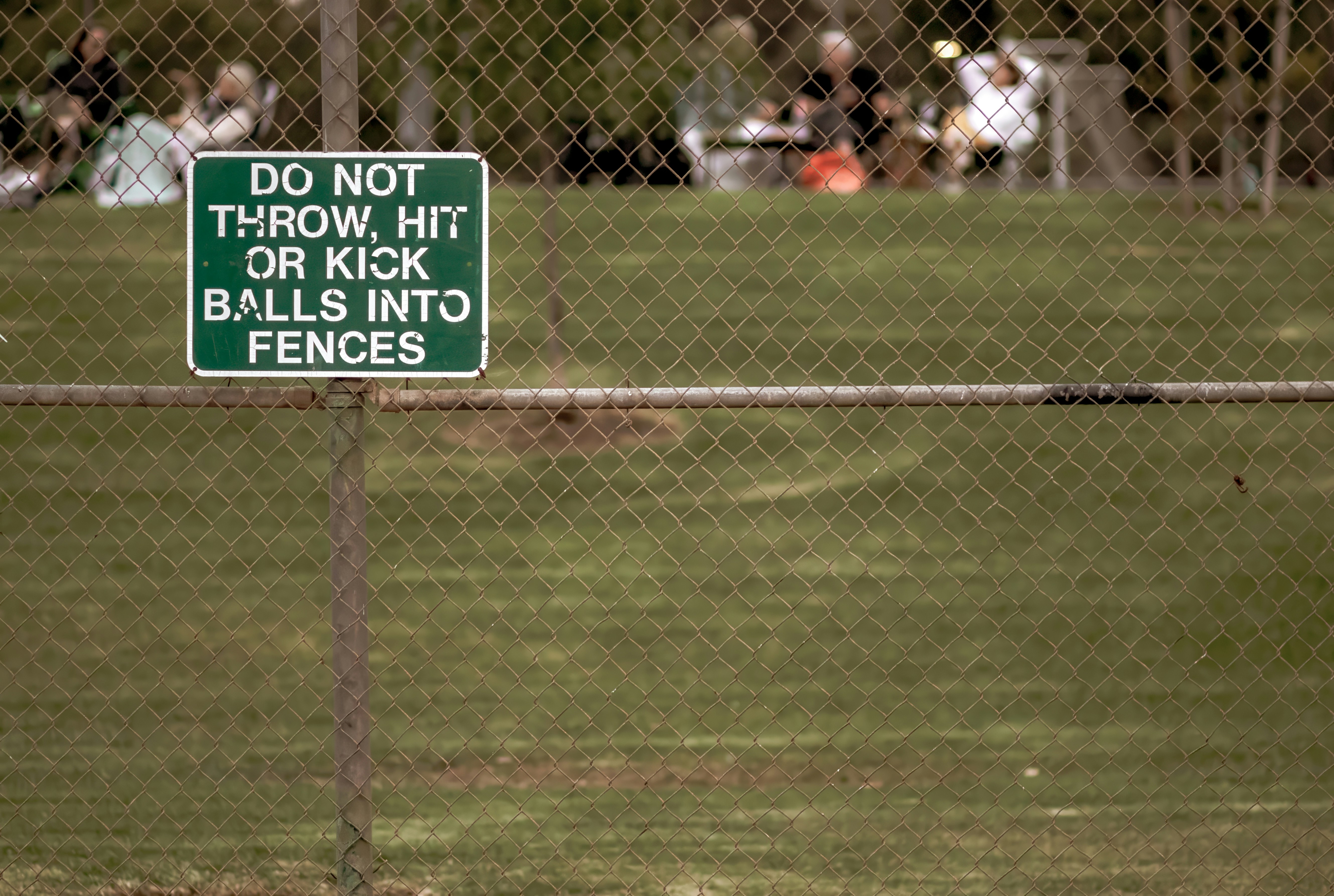 Do Not Cross: Green Sign on Chain-Link Fence in a Park