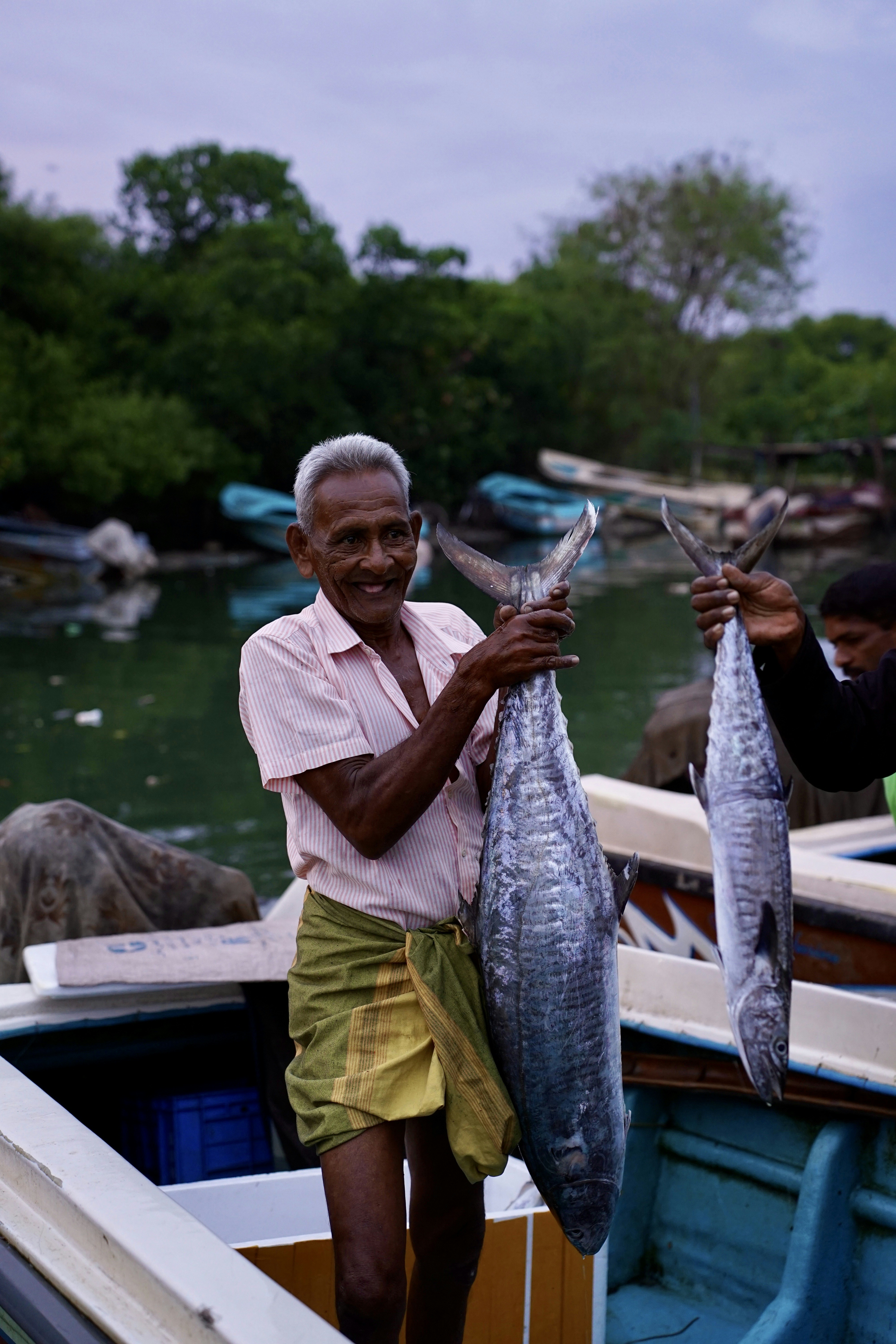 Hands of the Harpoon: Fisherman Showcases Large Tuna near Boats at Dusk