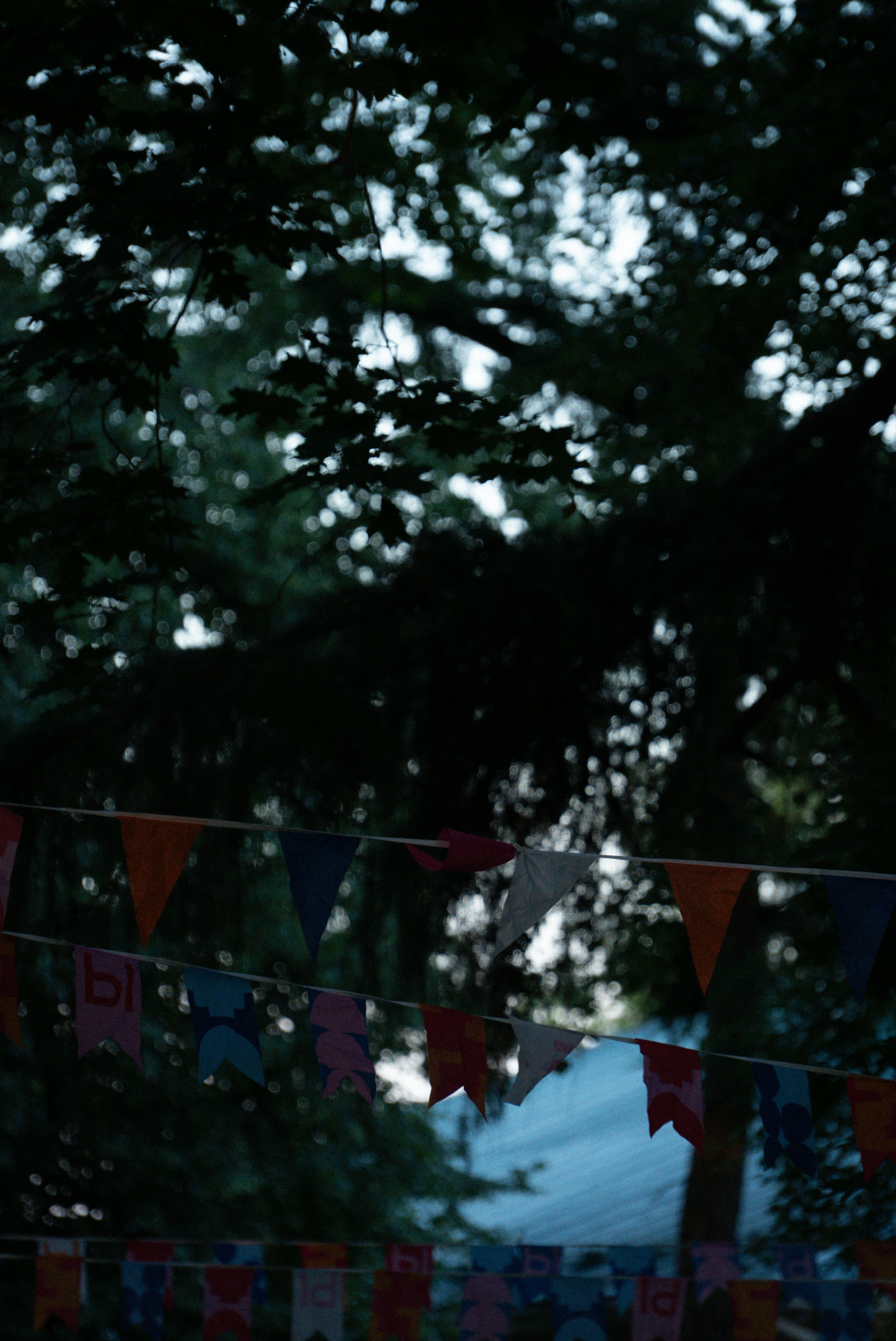 Flags of Color Under Dim Canopy