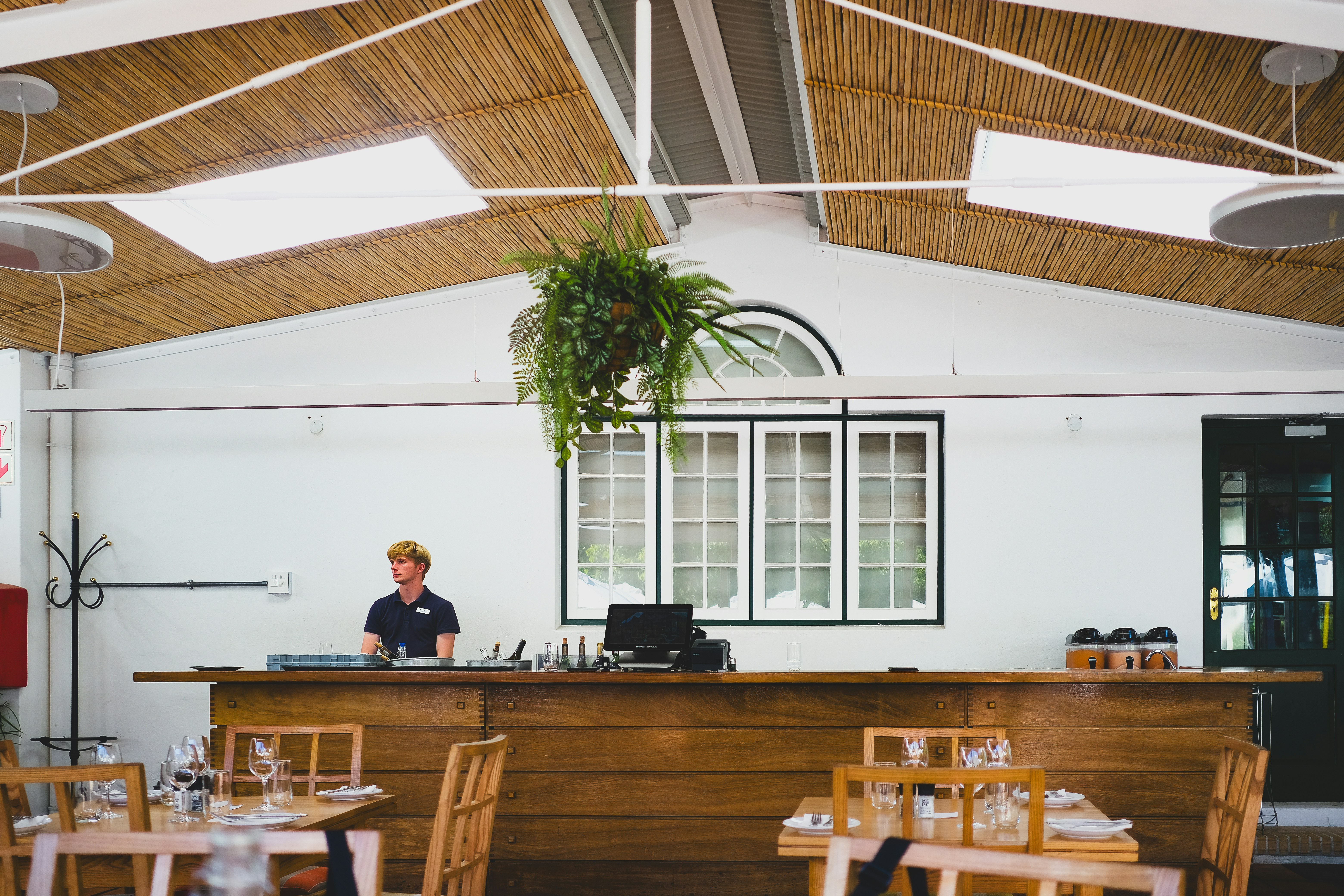 Bar Counter Beneath Ferns: Quiet Interiors of a Coastal Café