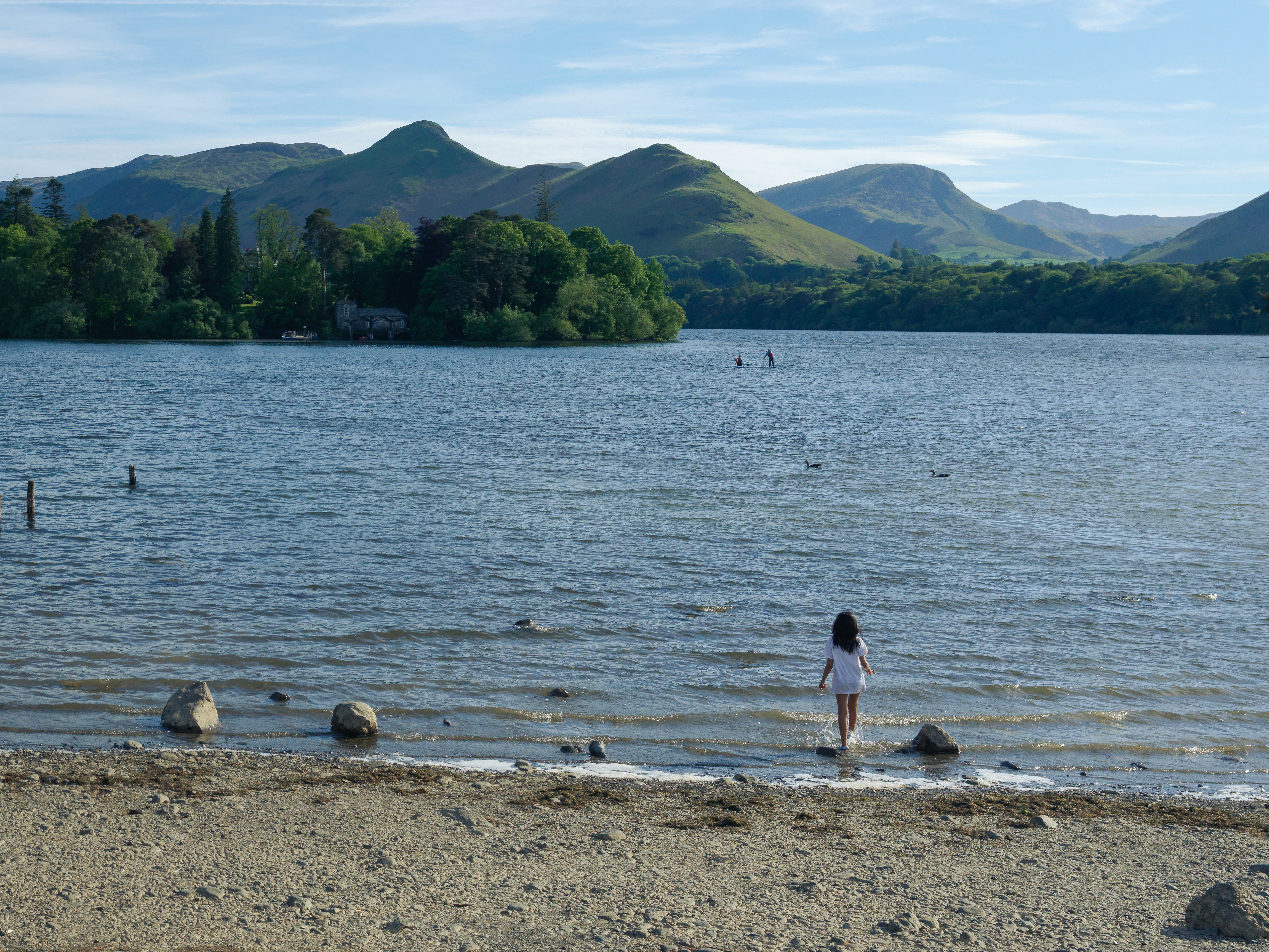 Quiet Shoreline Reverie by the Lake