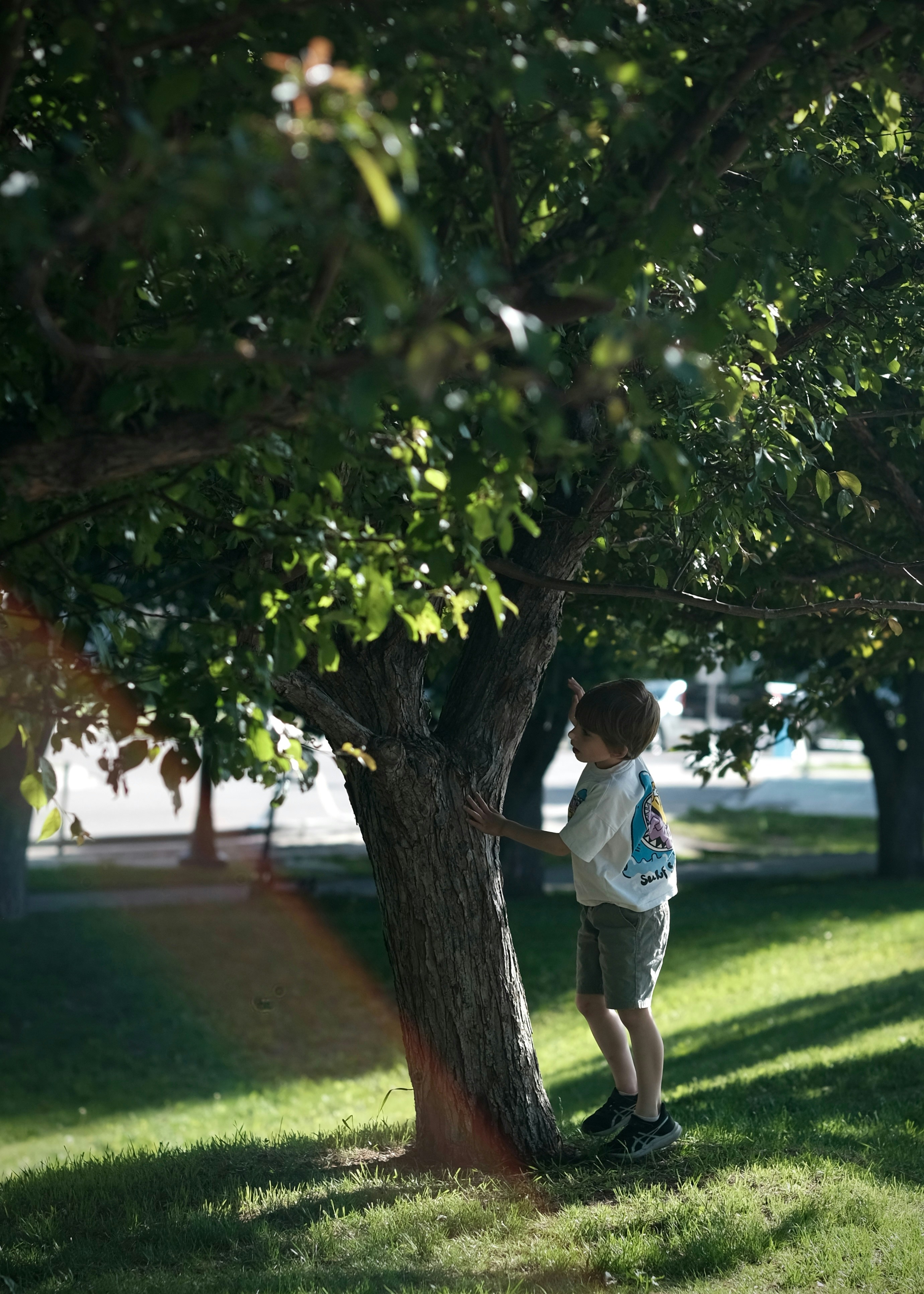 Child at the Apple Tree: A Quiet Tug of Wonder