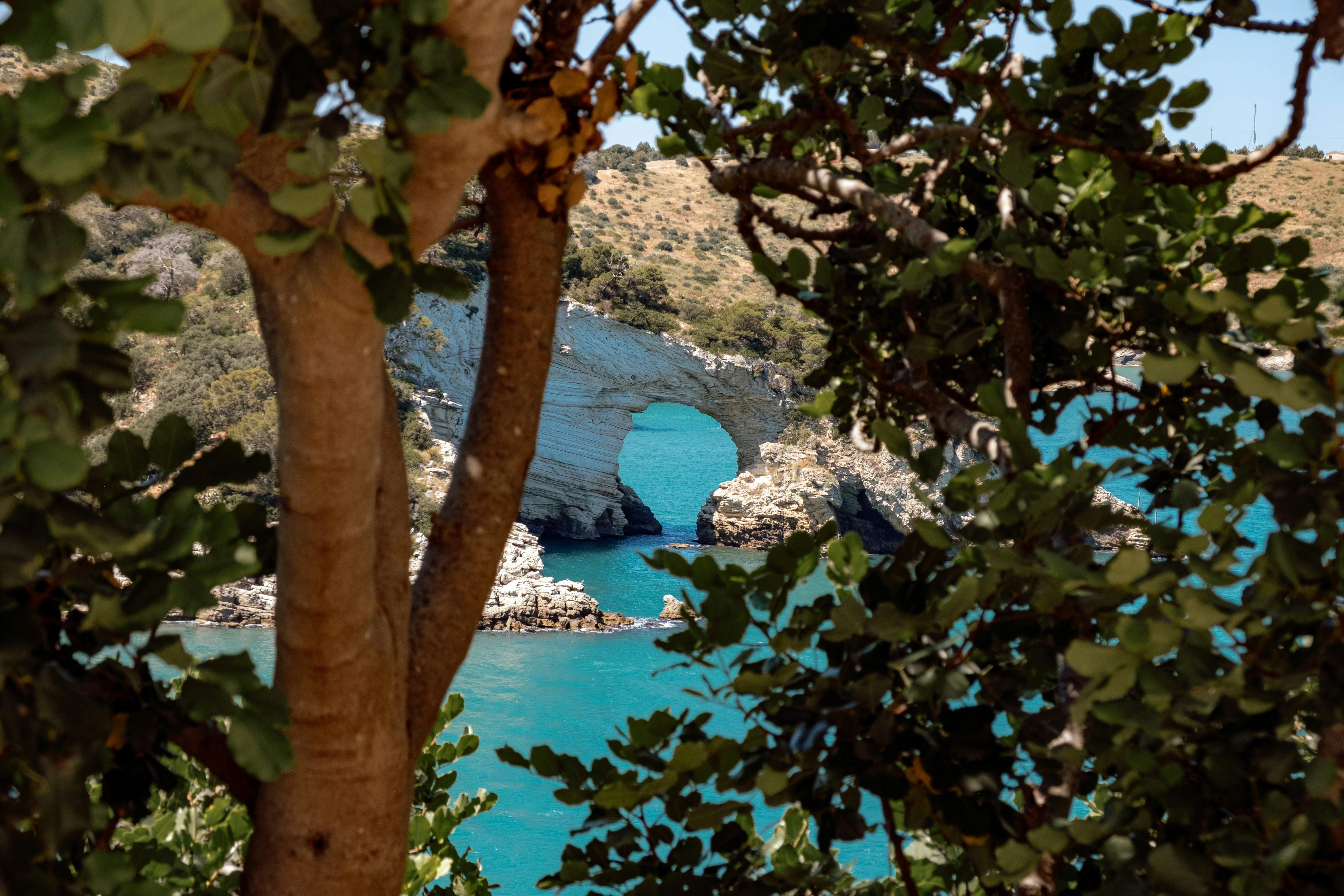 Veiled Coastal Arch Through Framing Foliage