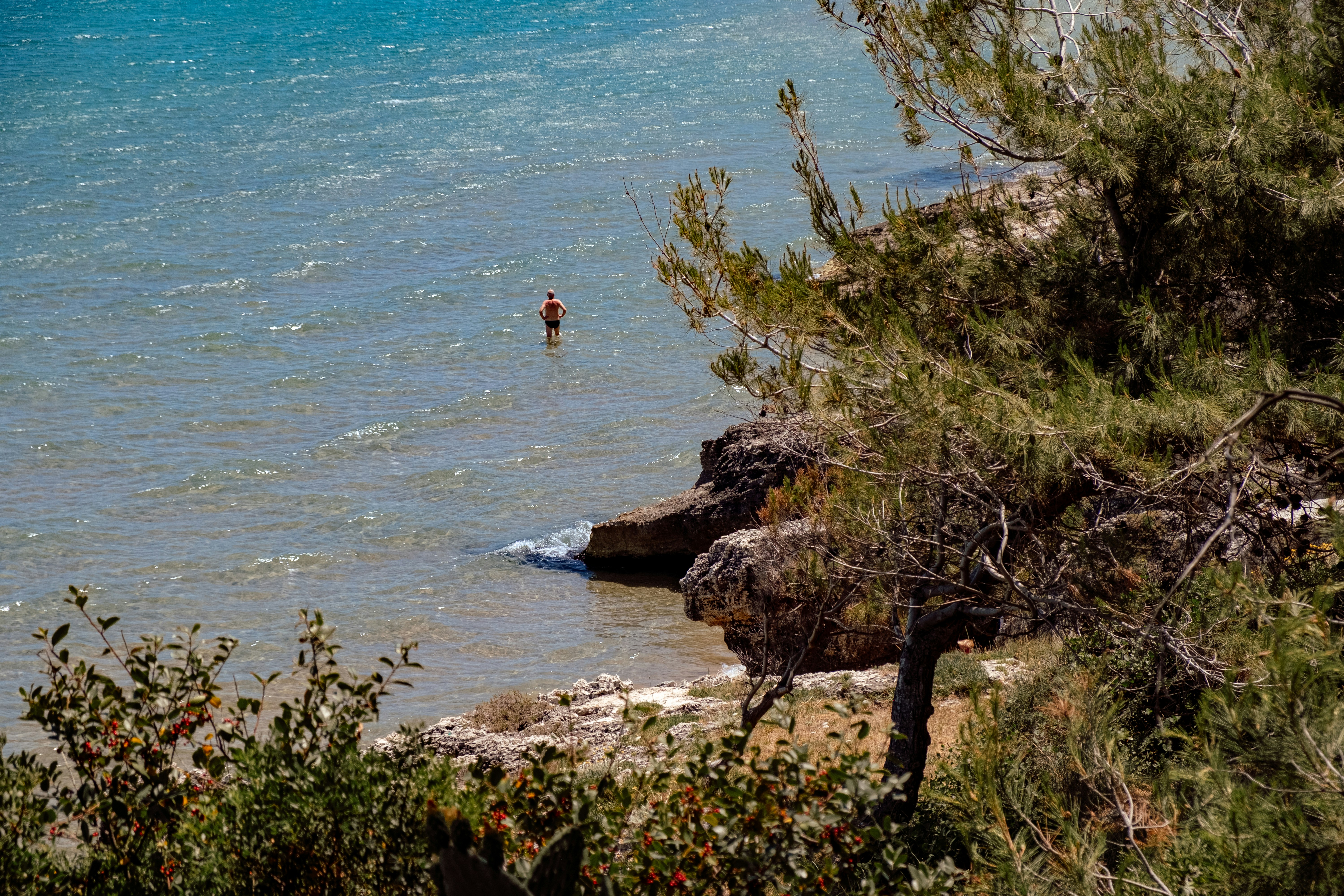 Mystic swimmer at the sunlit shoreline