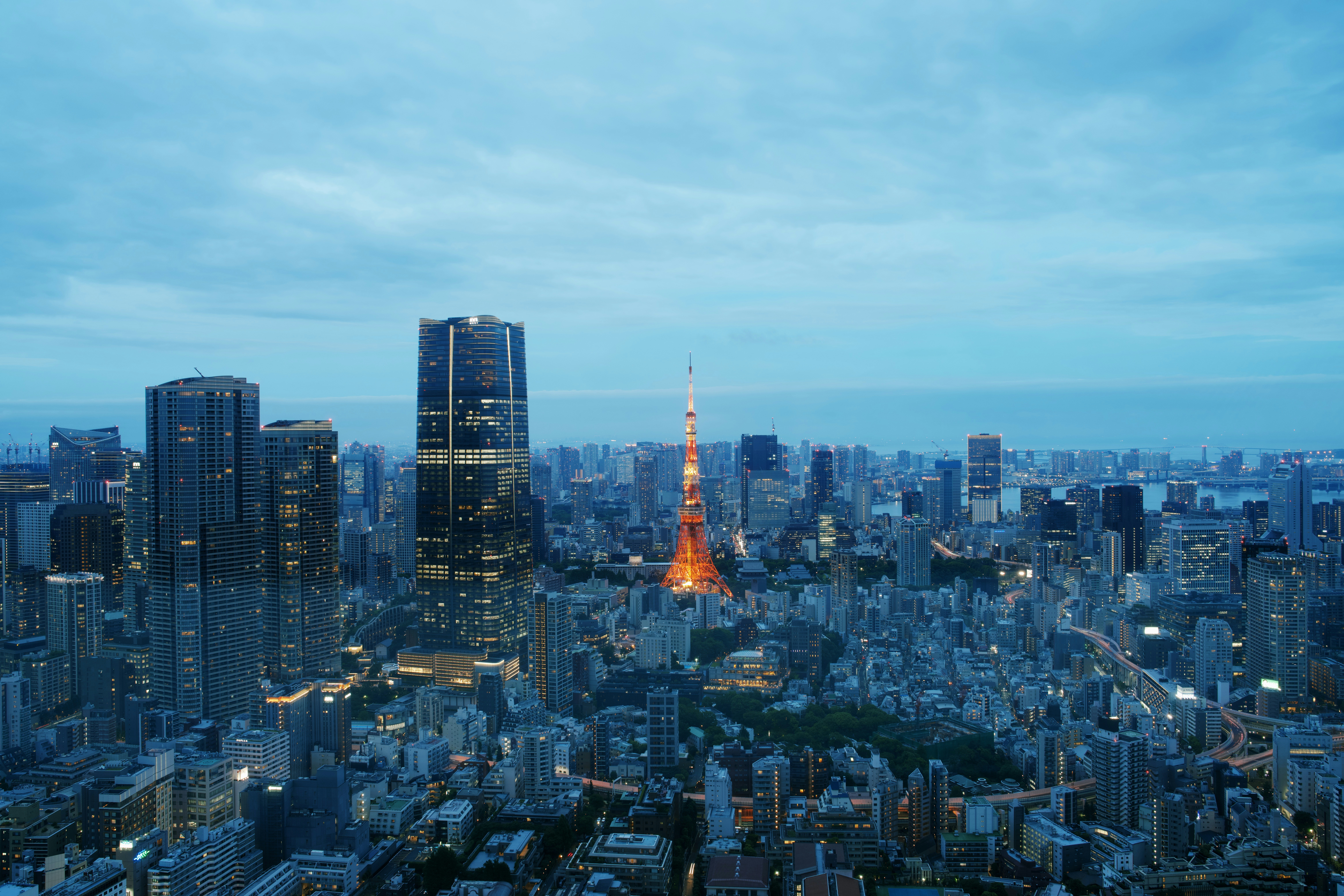 Tokyo by Twilight: The City Crowned by a Neon Tower