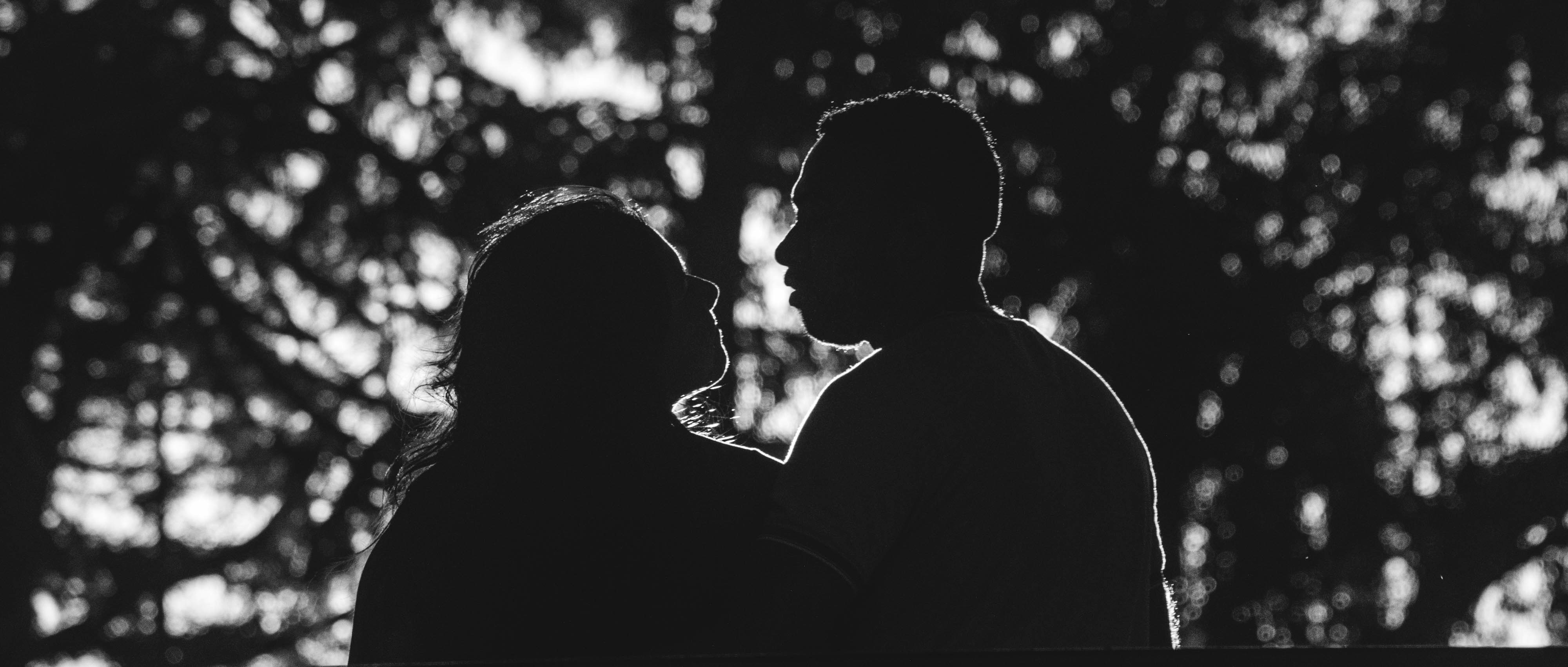 Silhouettes in Dusk: Quiet Connection Behind a Lattice of Trees