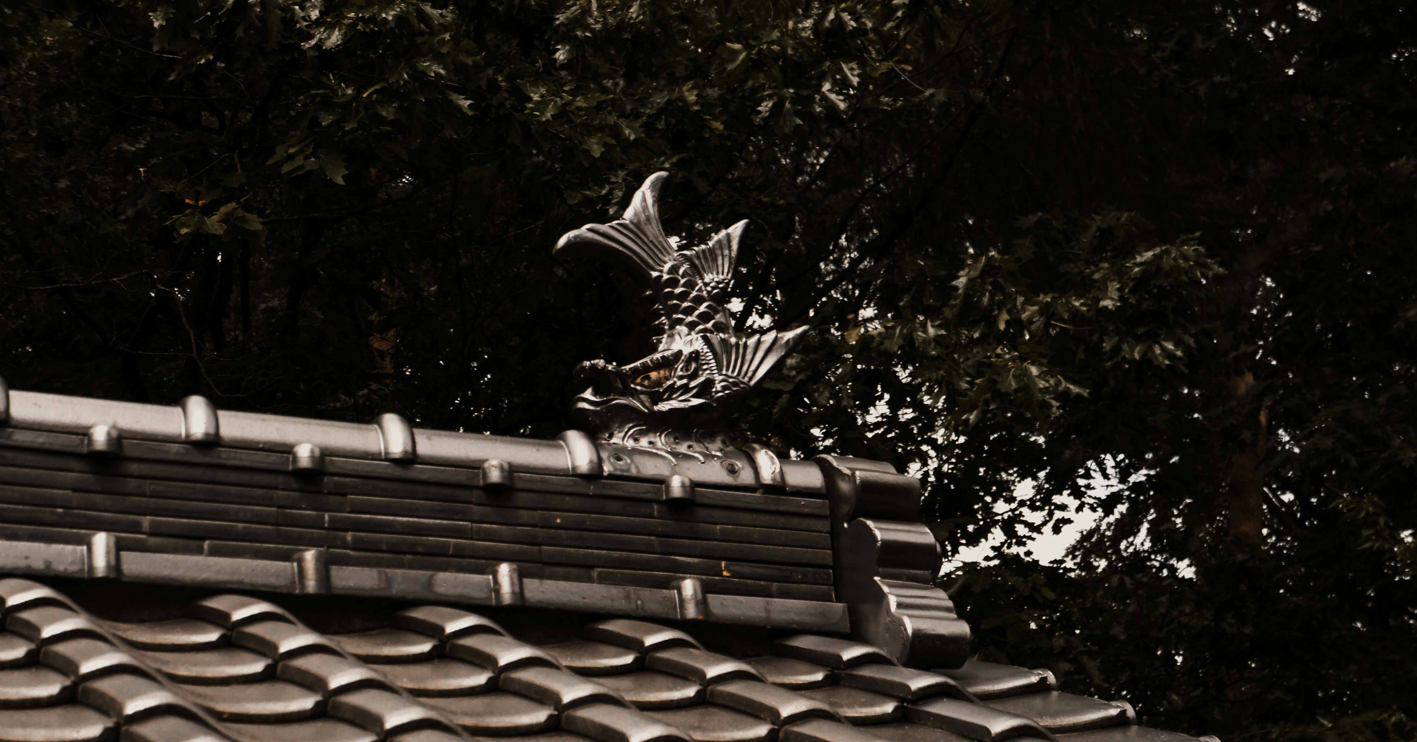 Winged Vigil on the Tile Ridge