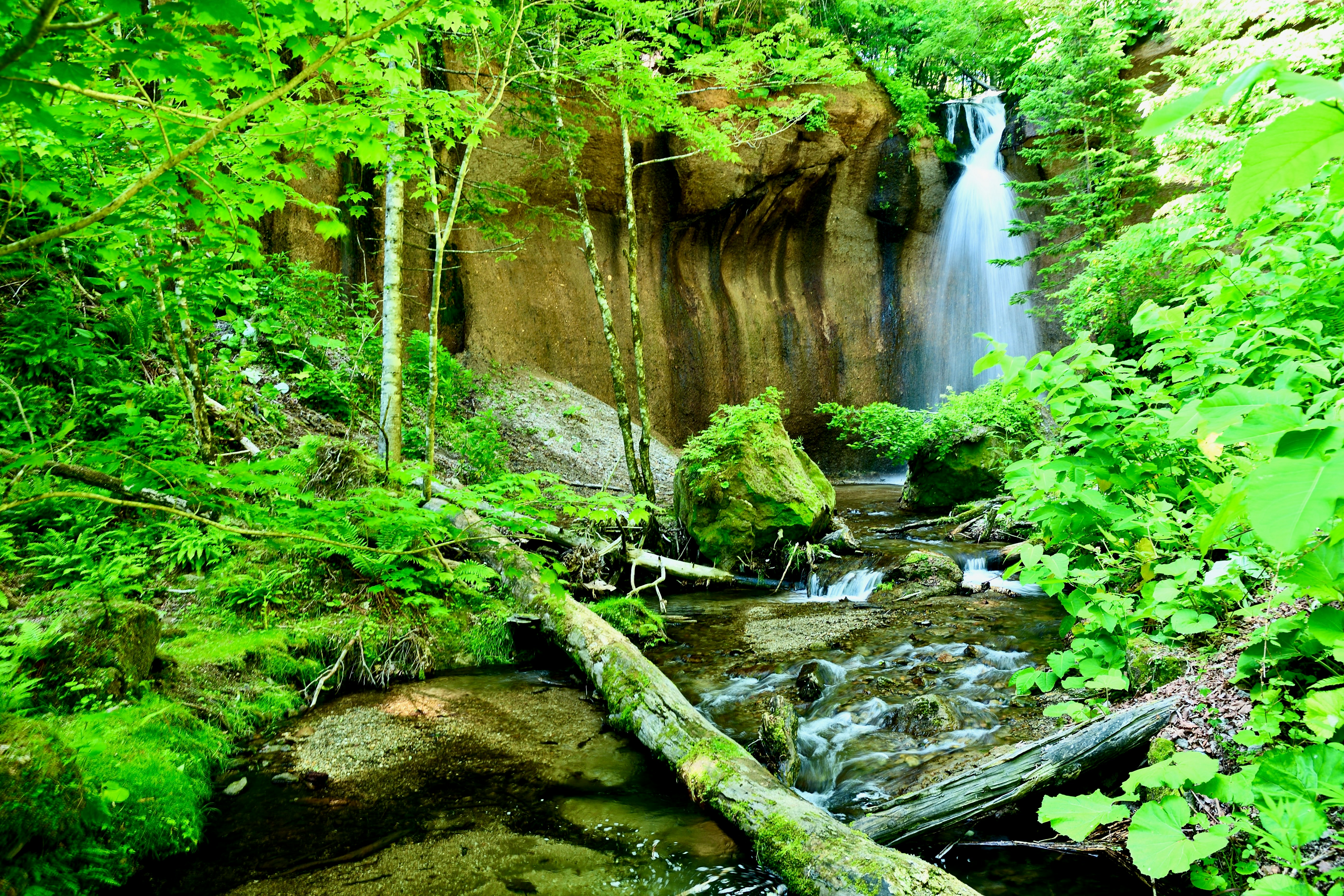 Emerald Cascade: A Quiet Hearth of Green and Water