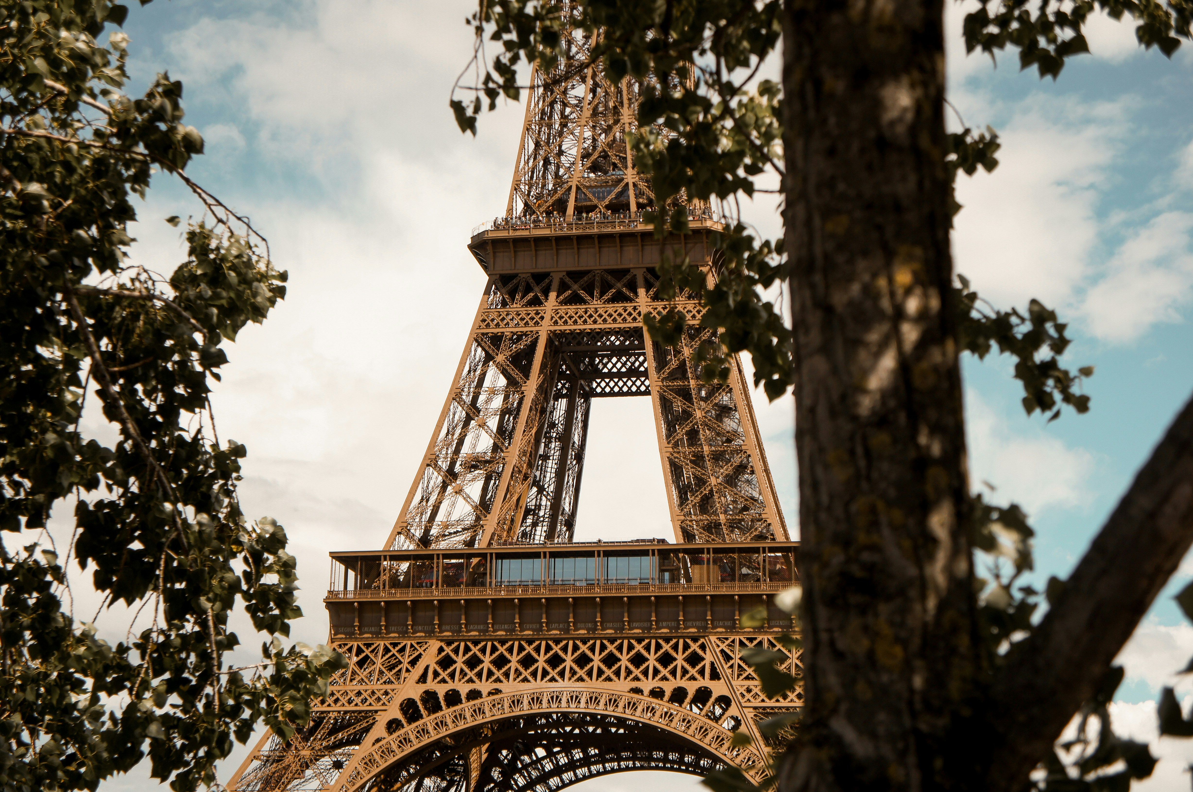 Iron Lace and Tree Fronds: The Tower Framed by Branches