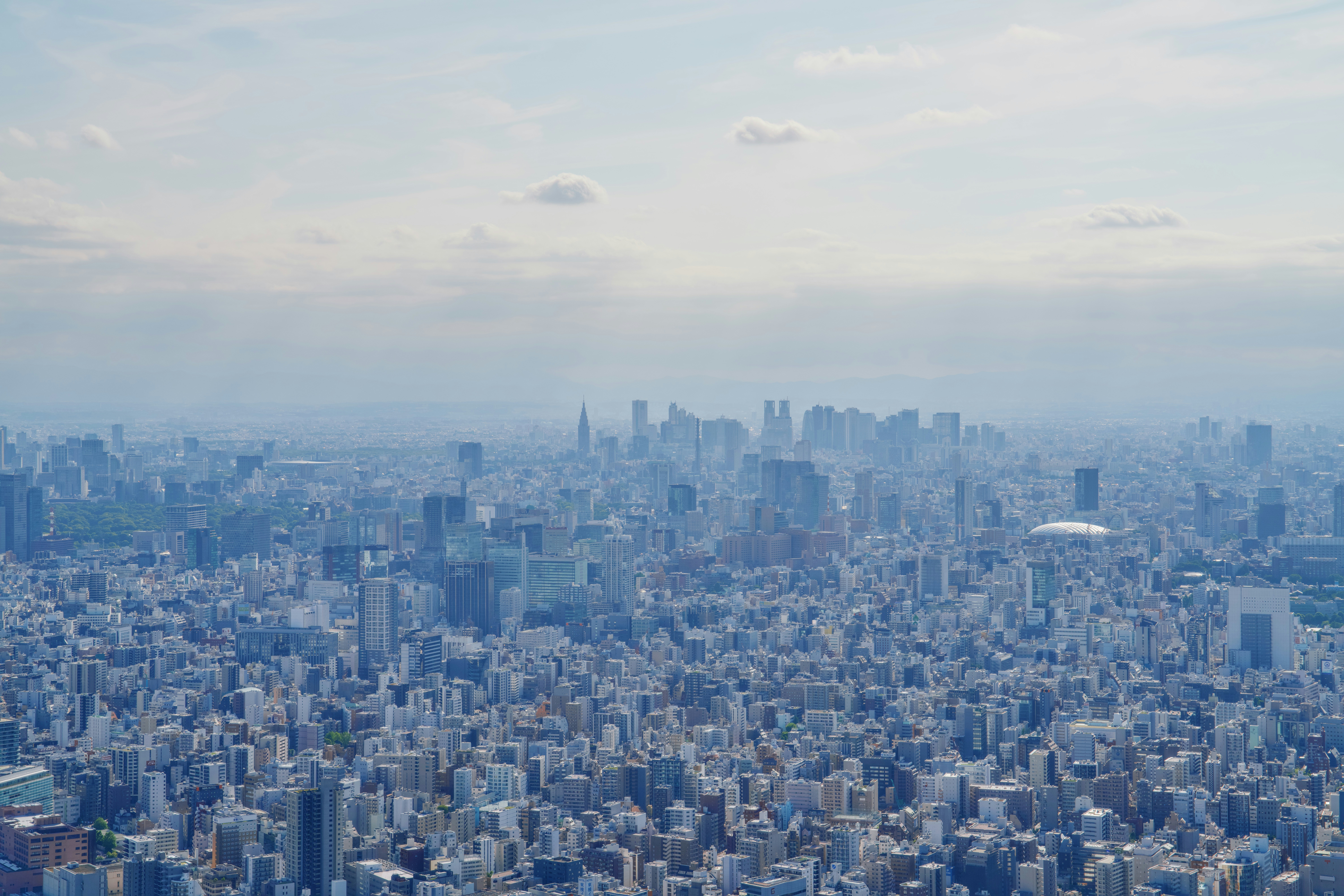 Edge of the City: A Quiet Horizon Over Dense Blocks