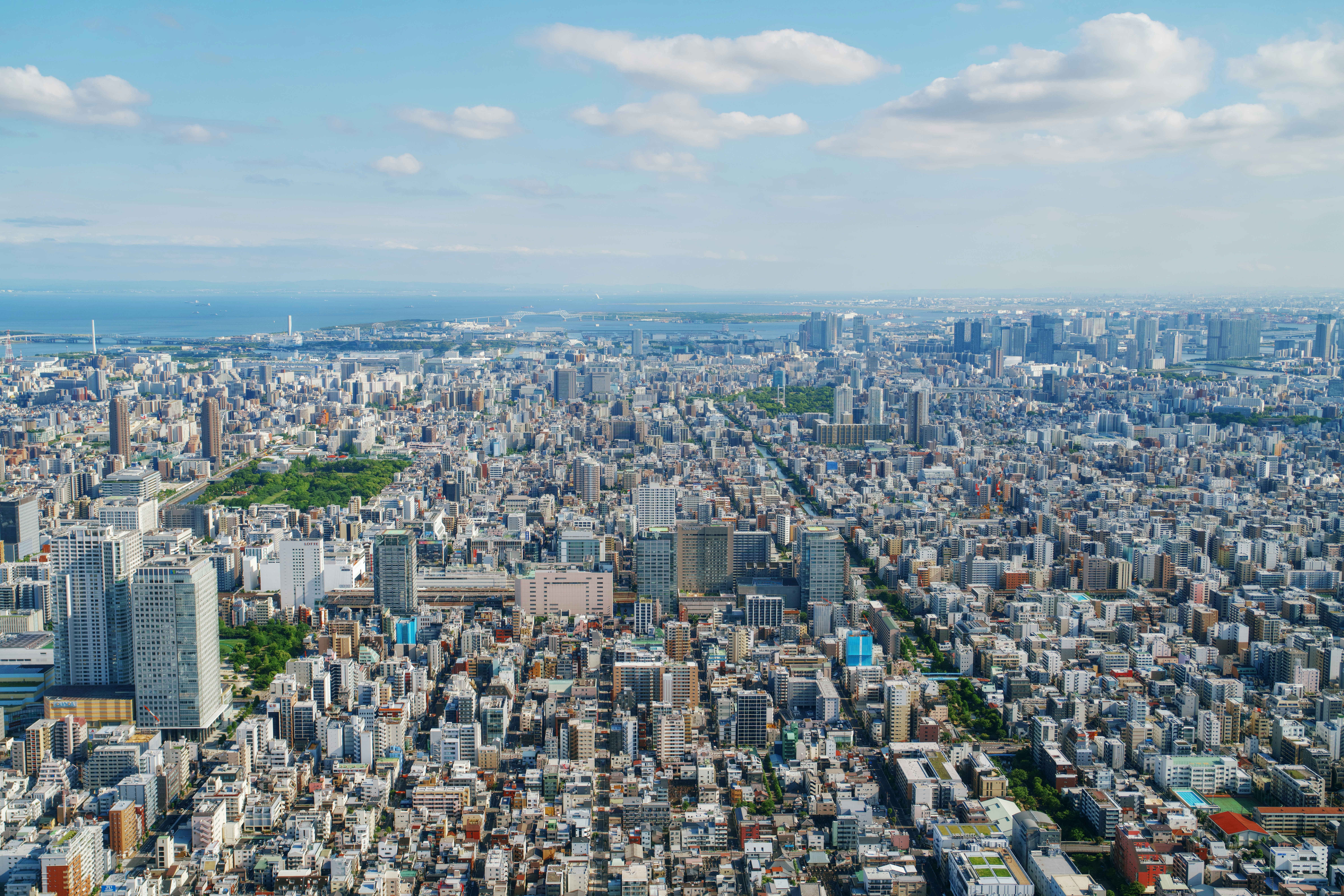 A sprawling urban quilt: morning light over a dense grid of rooftops