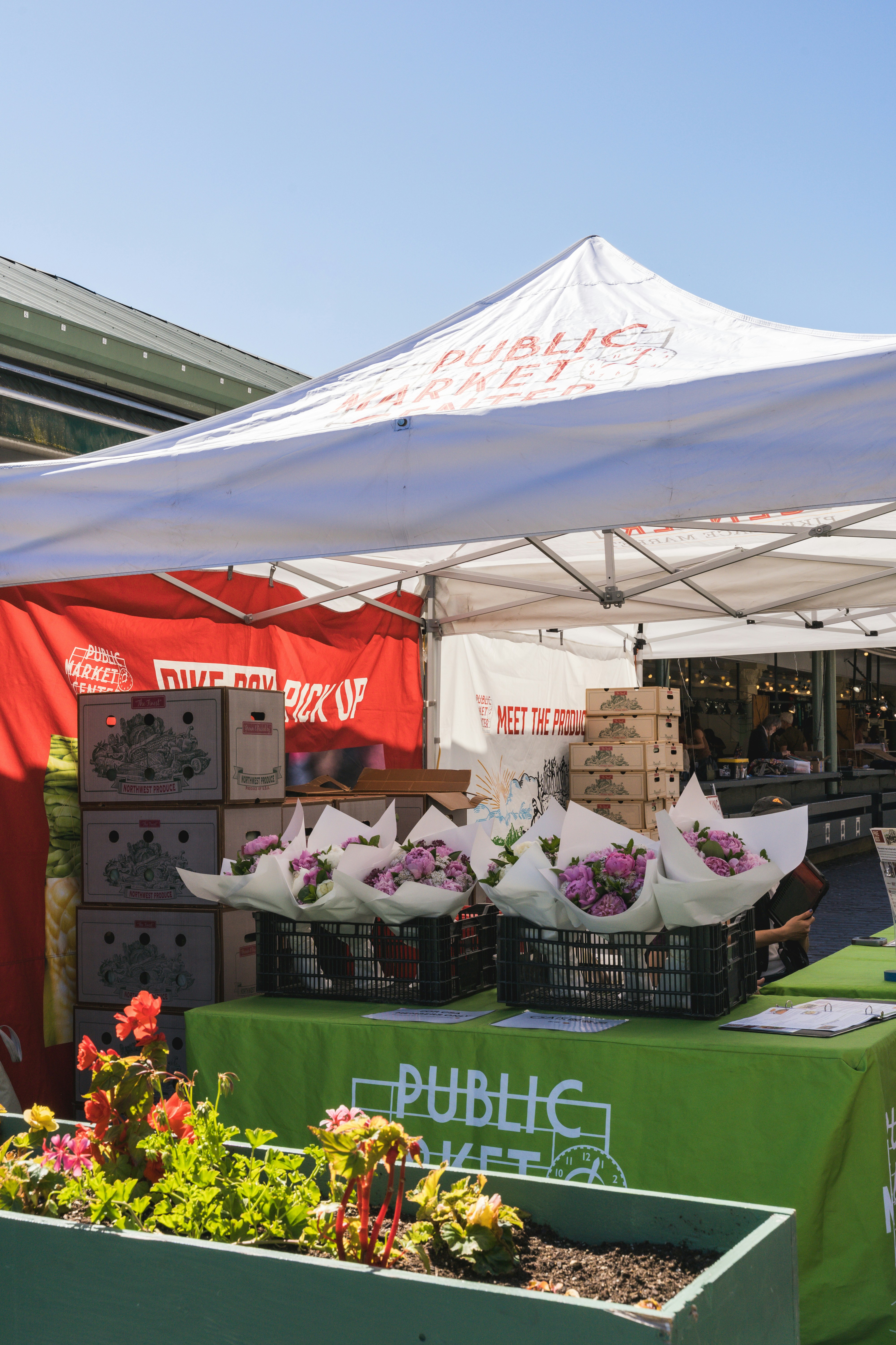 Market Stall Serenade: Bouquets Under a White Canopy