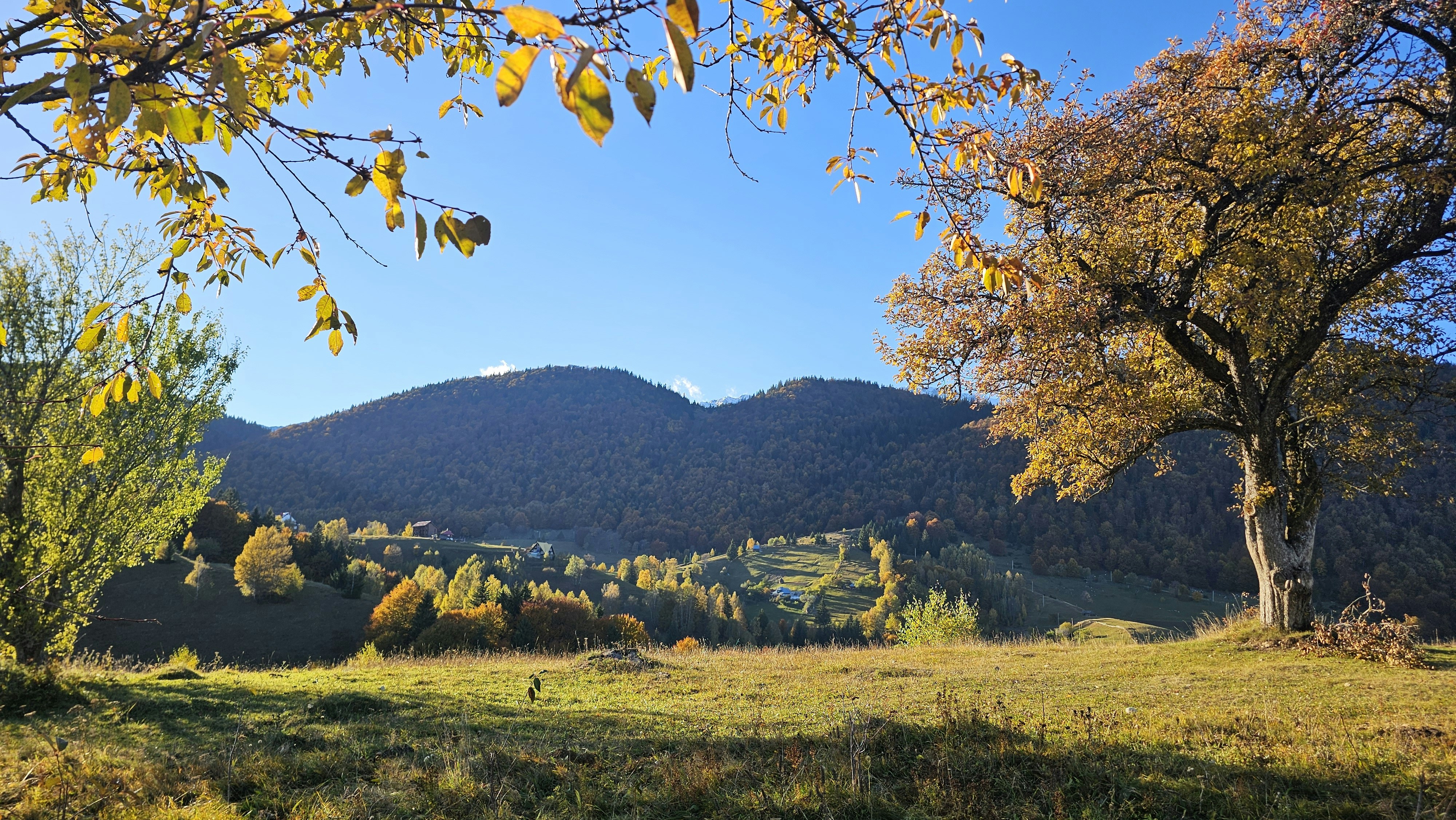 Autumn Ridge: Golden Leaves Framing a Quiet Valley