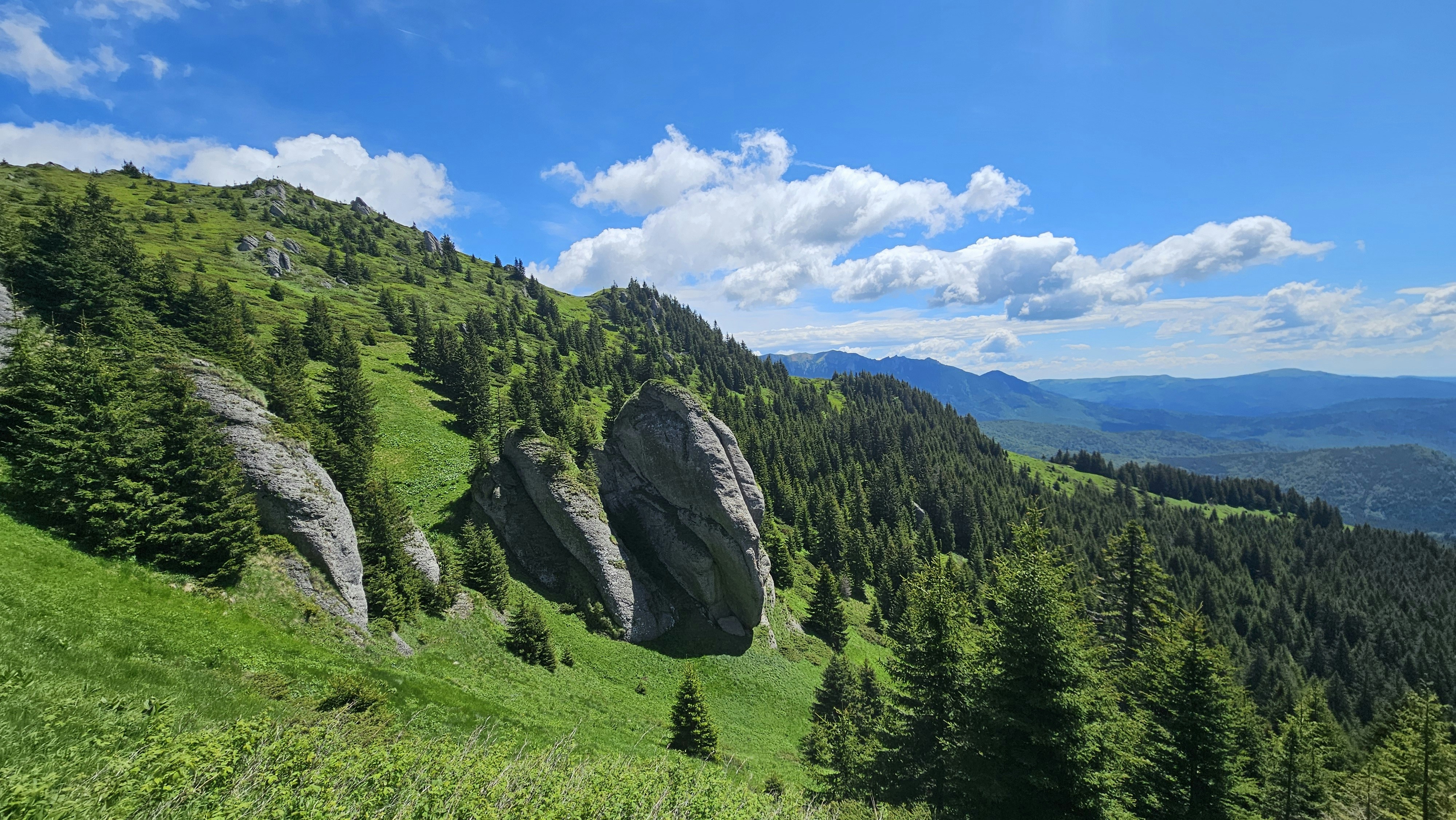 Emerald Ridge Under a Velvet Sky