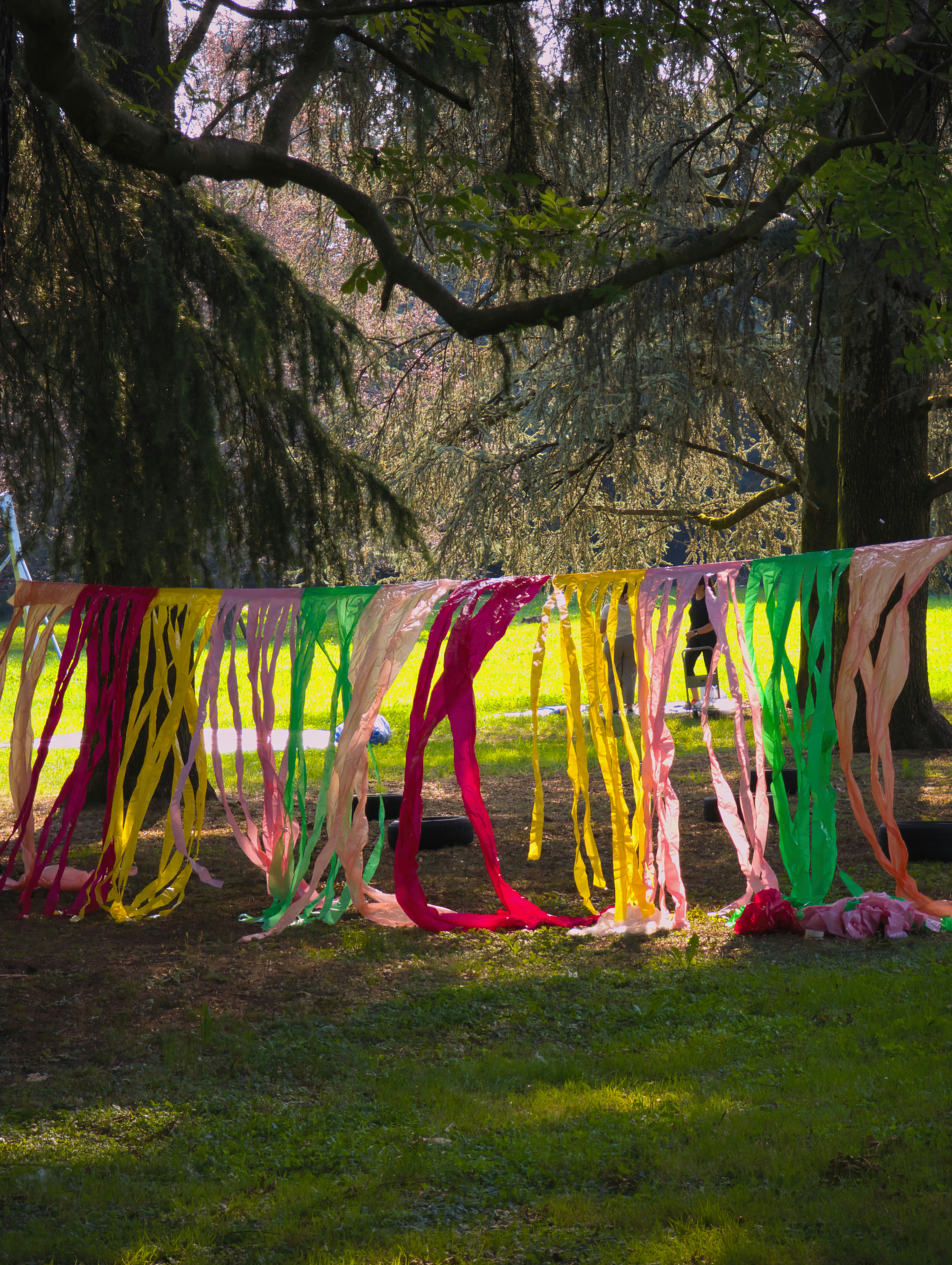 Bright streamer ribbons hang across a sunny park, with a large tree and green grass in the background; a peaceful outdoor setup suggesting celebration.