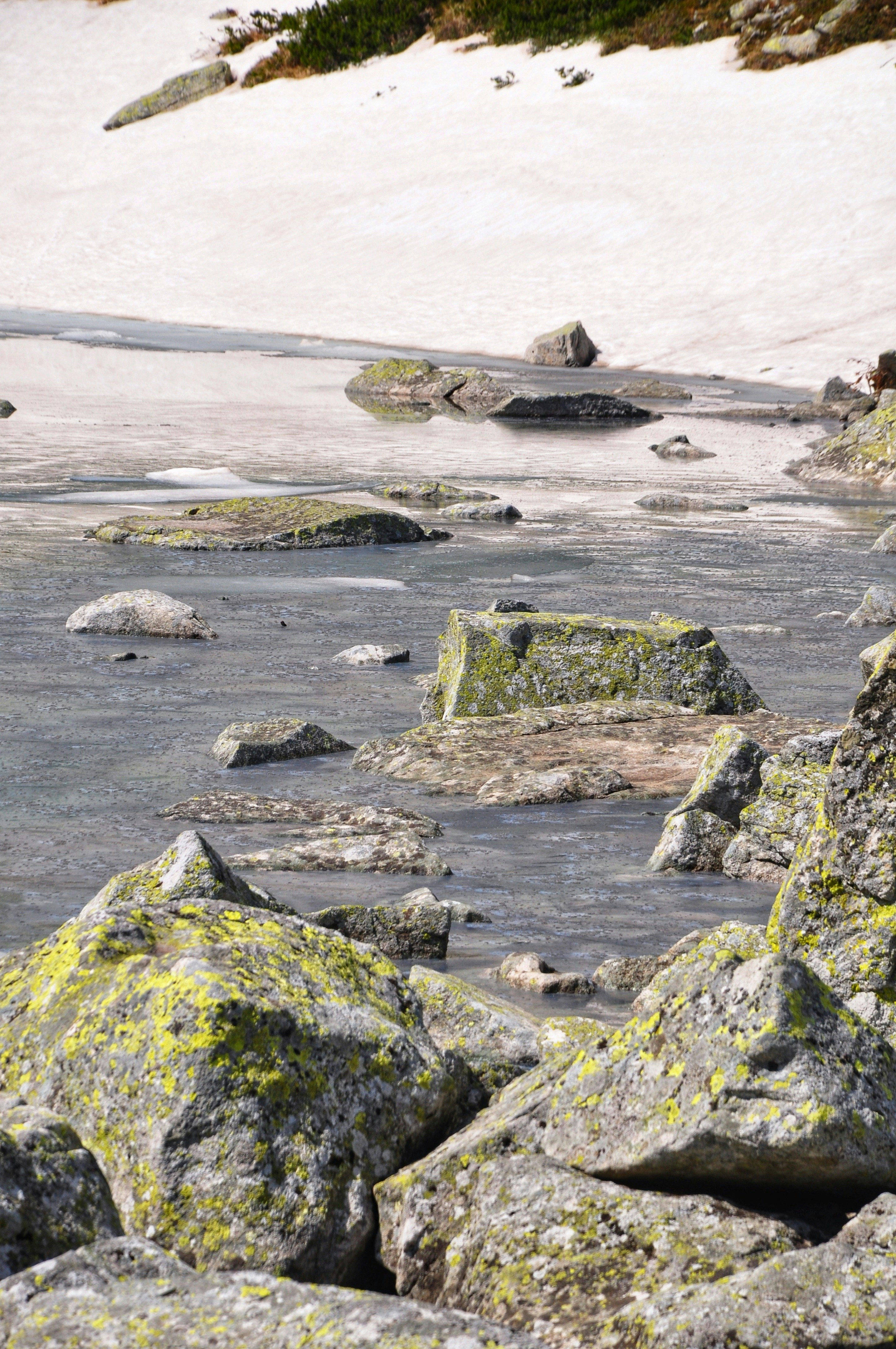 Lichen-streaked shoreline rocks emerge from tranquil tidal pools