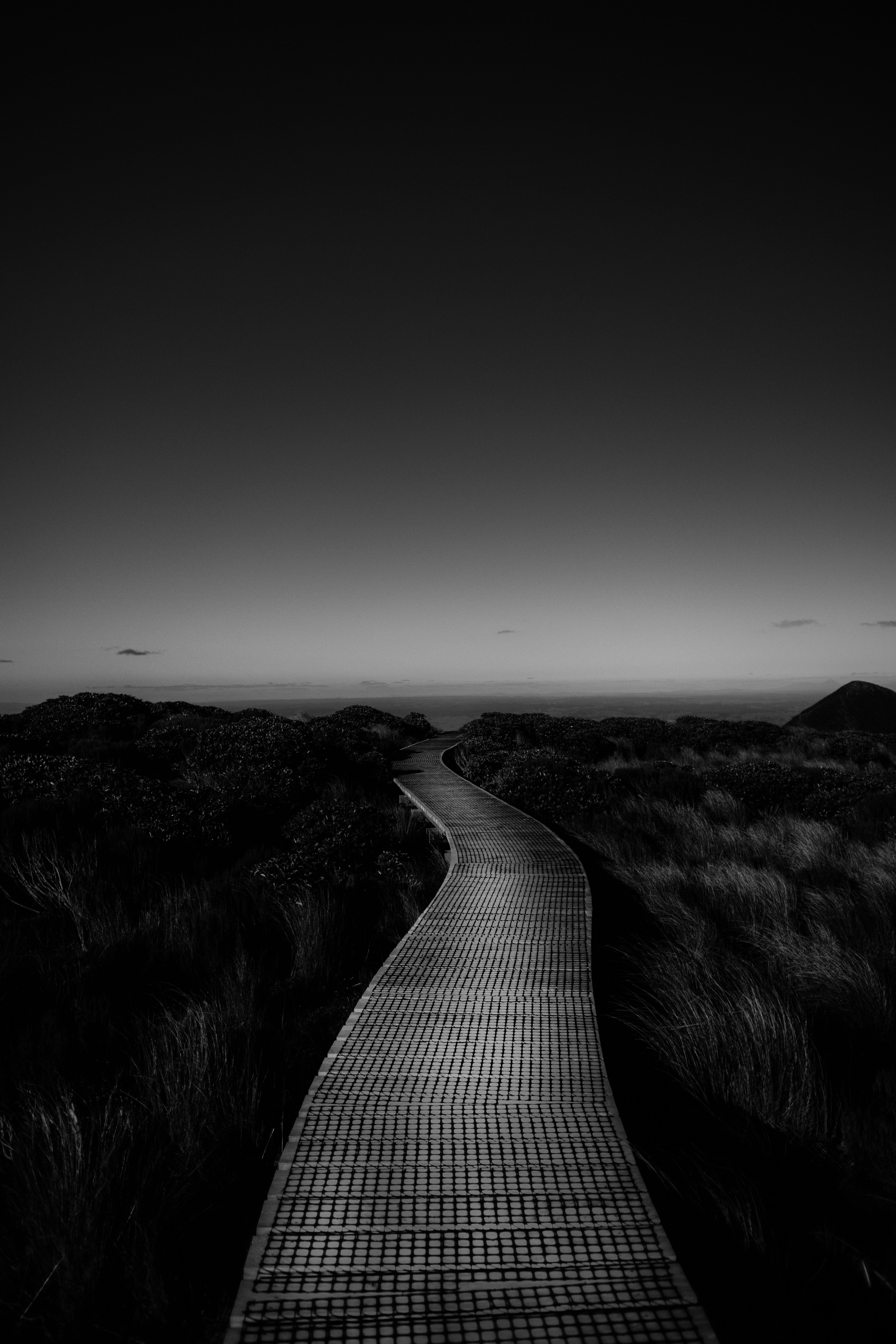 Lonely Boardwalk to the Distant Horizon