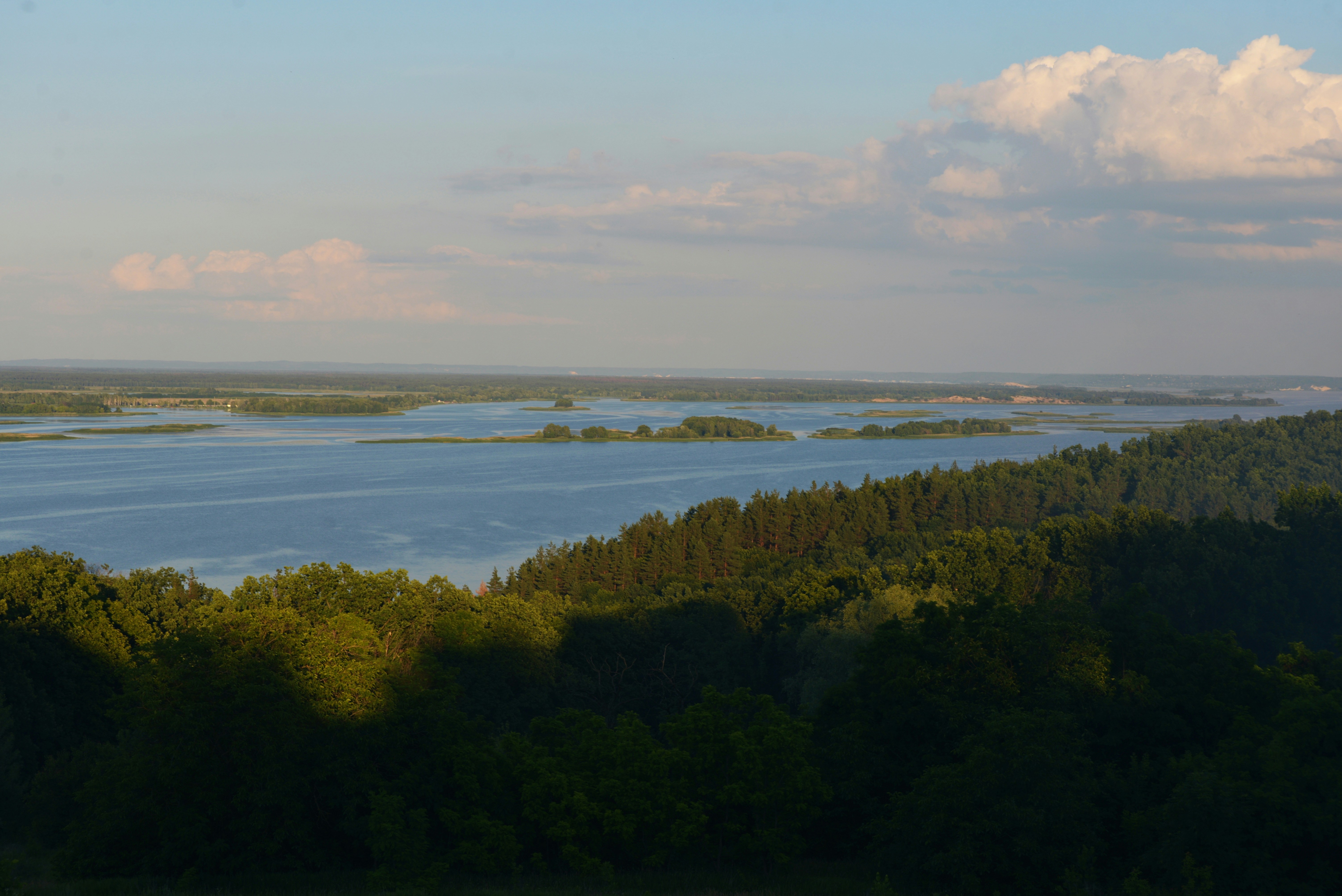 Sunlit River Flats Beyond a Forested Rim at Dusk