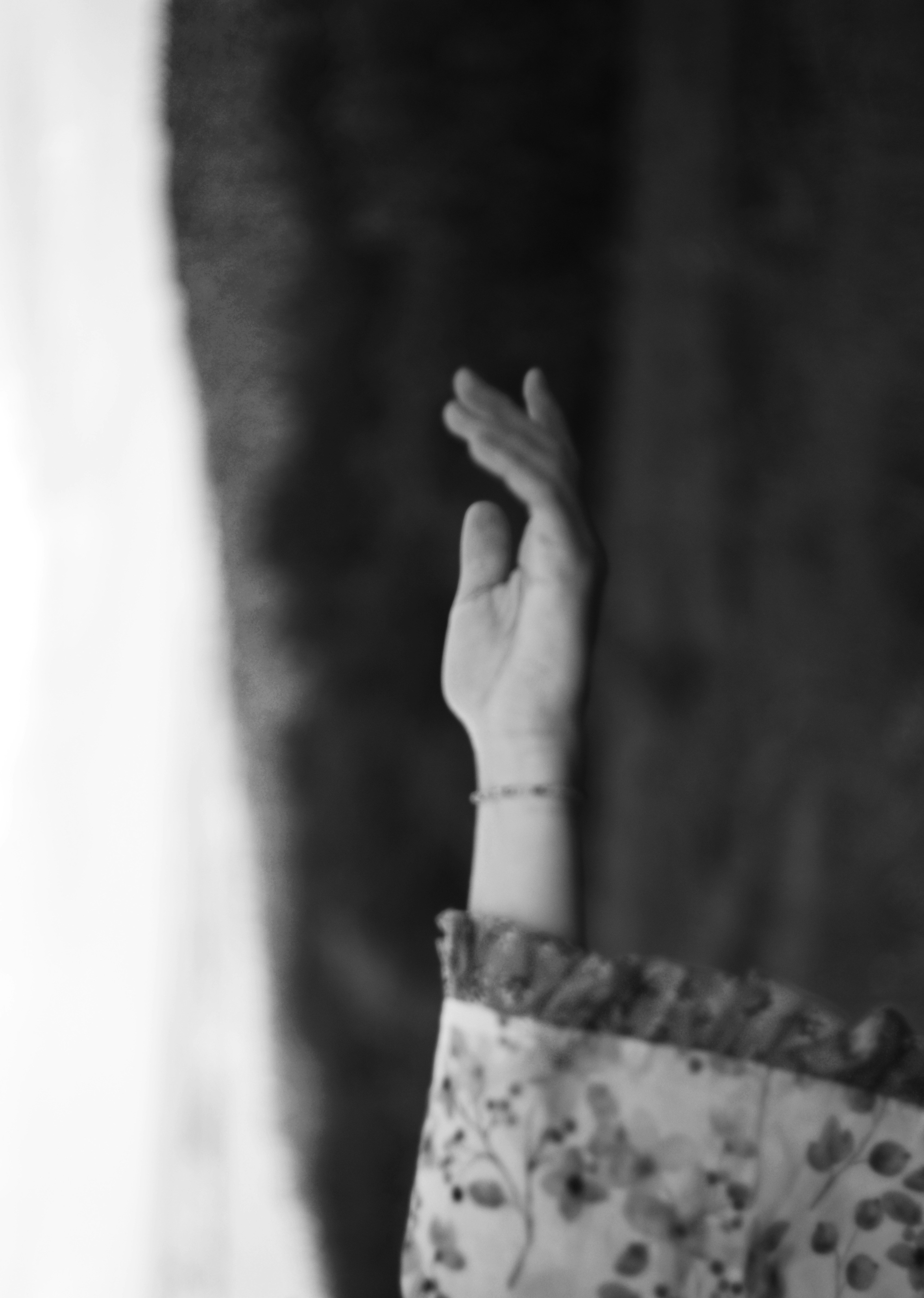 Raised Hand in Soft Monochrome Portrait