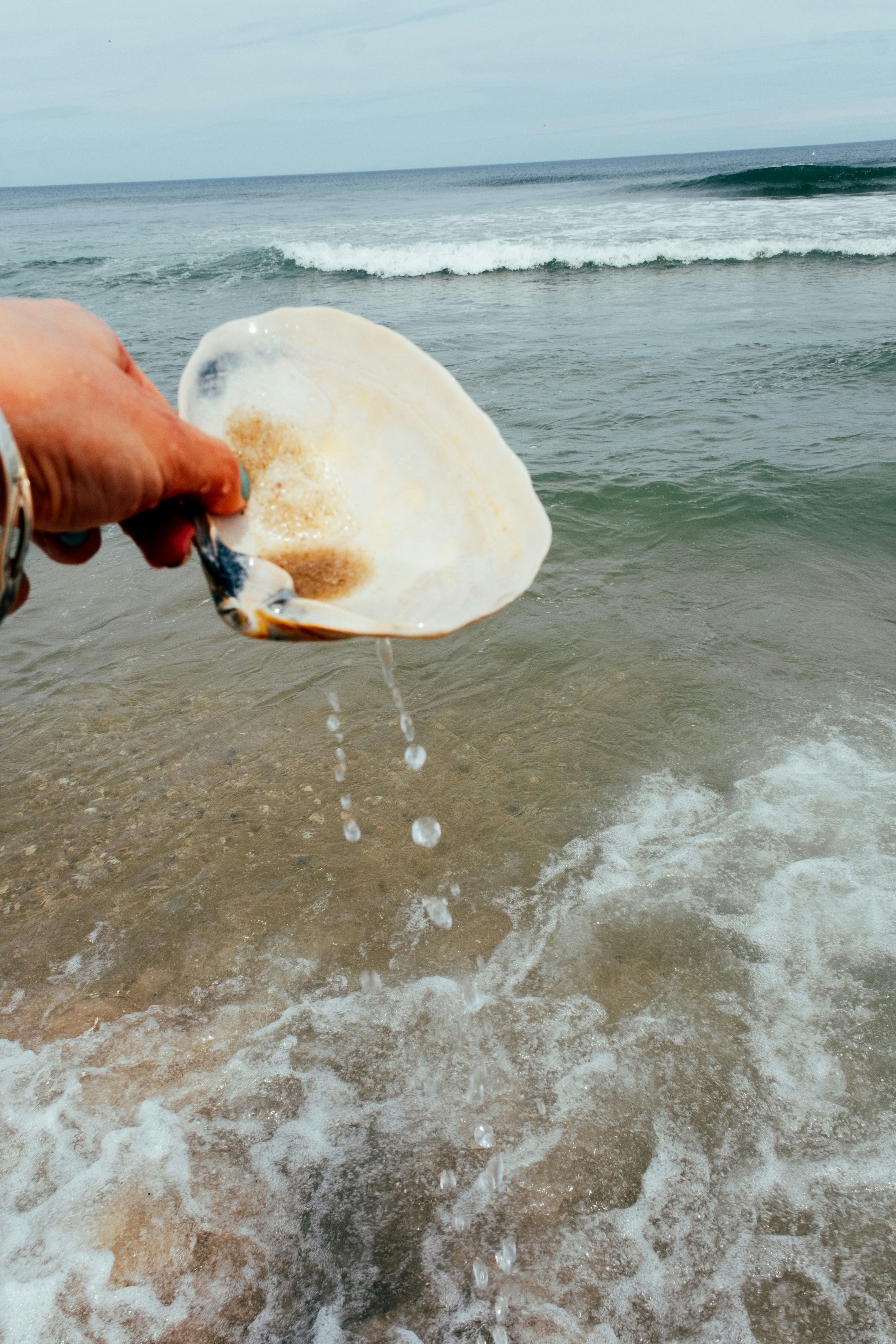 Lemon-shell Toss at the Shimmering Shore
