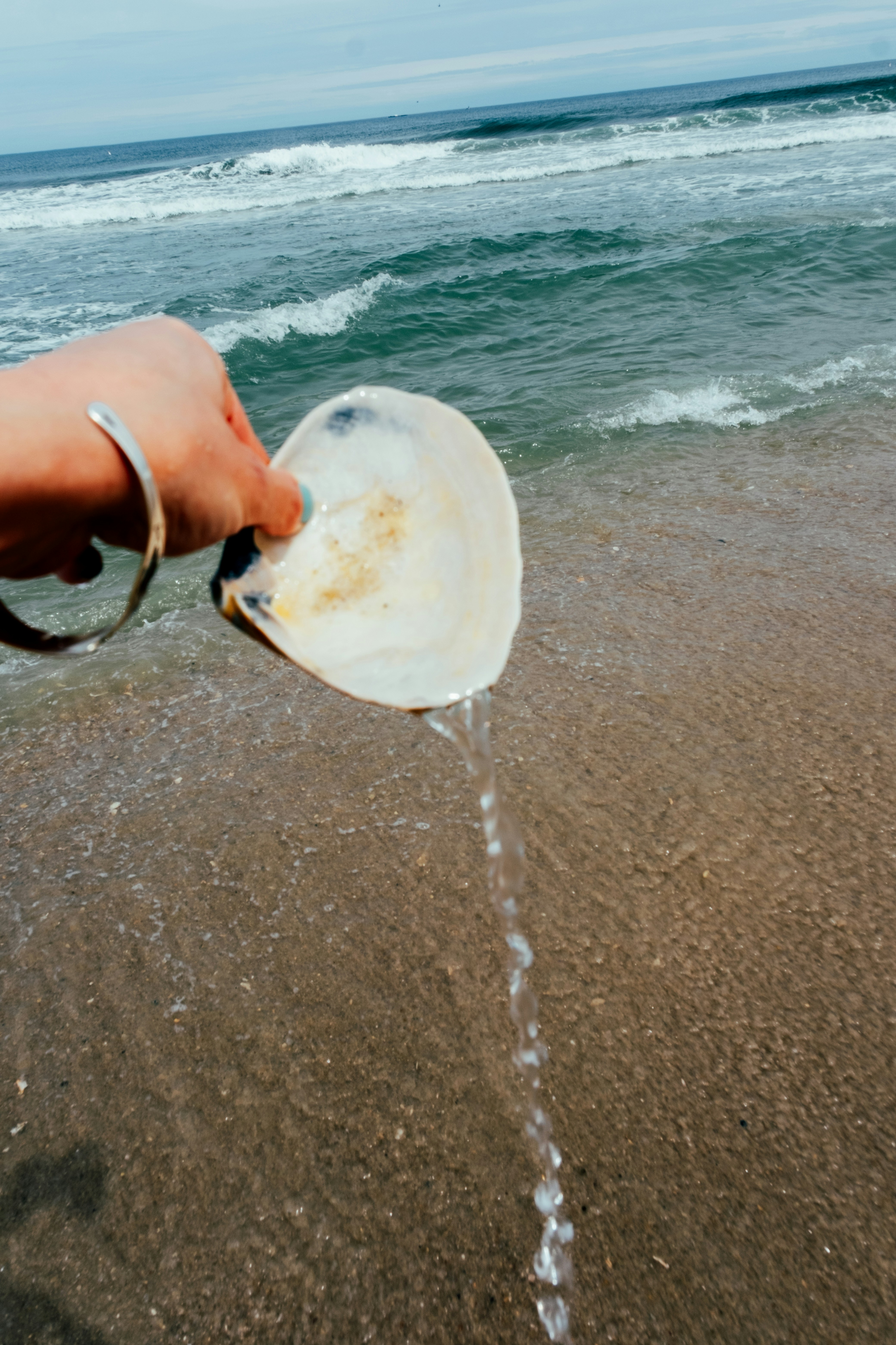 Caught in the Shoreline: A Handful of Sea and Light