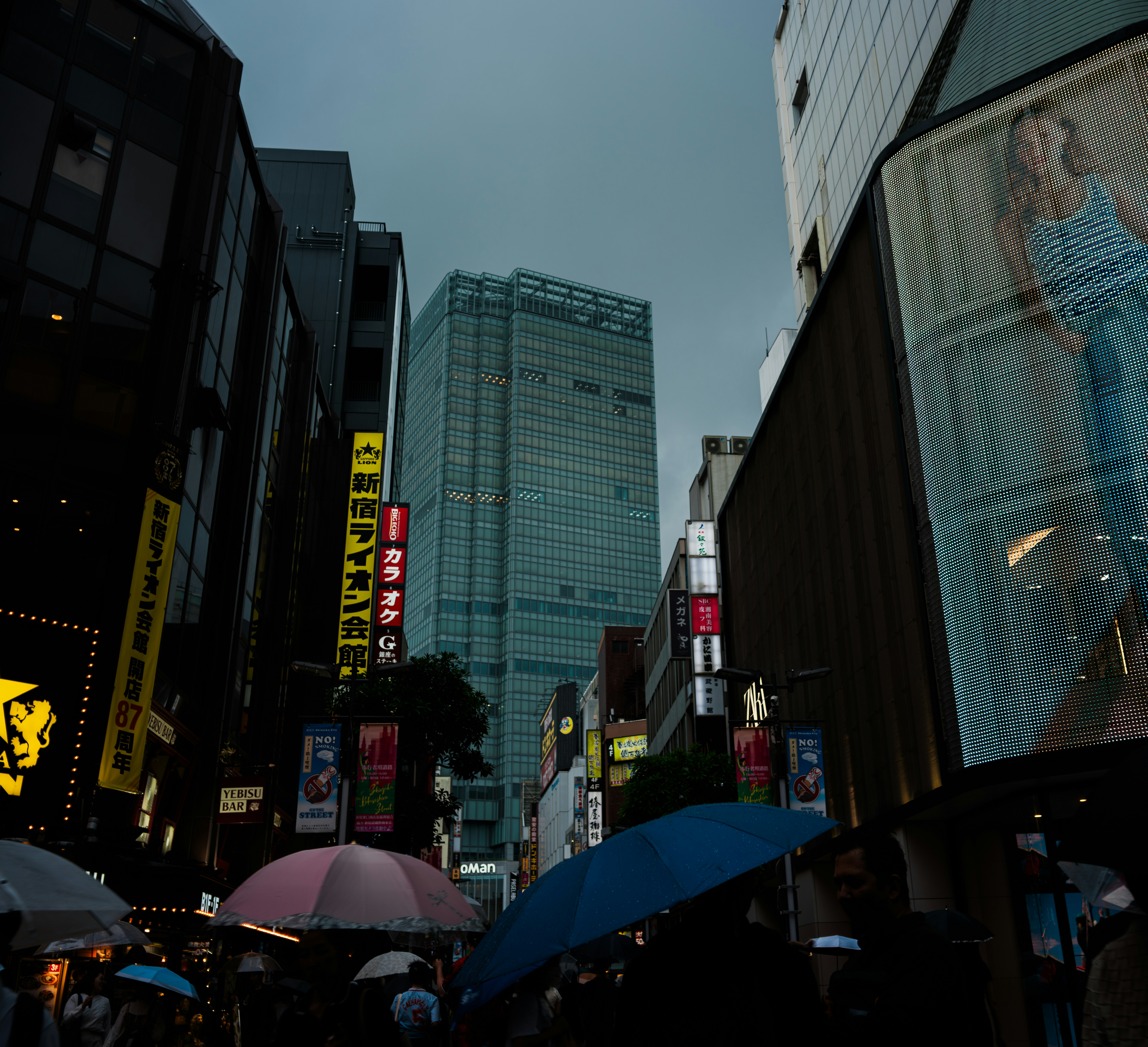 Neon Canyon: City Pulse Under Rainy Neon
