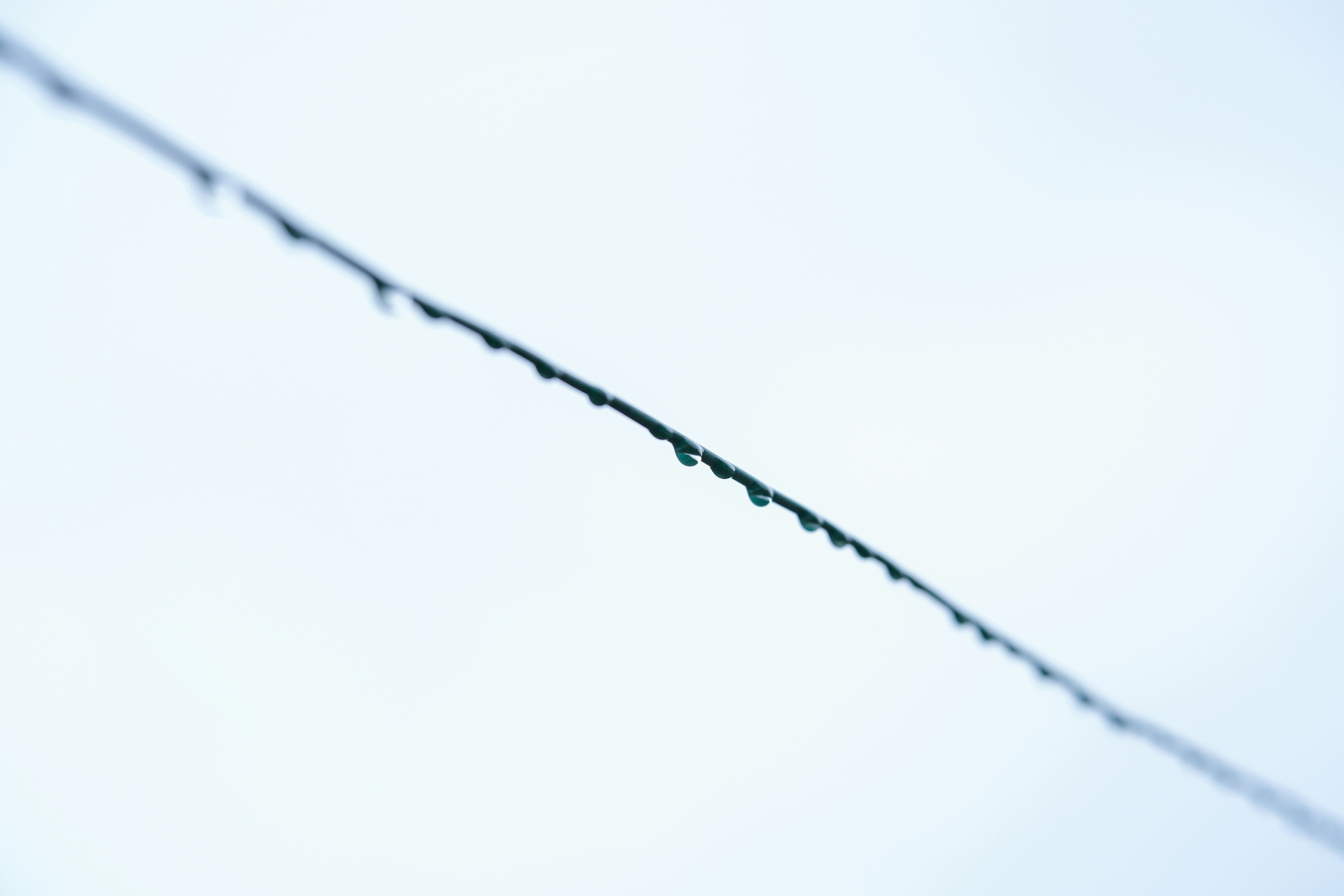 Aerial Thread: A Delicate Diagonal of Glassy Beads Across Pale Sky