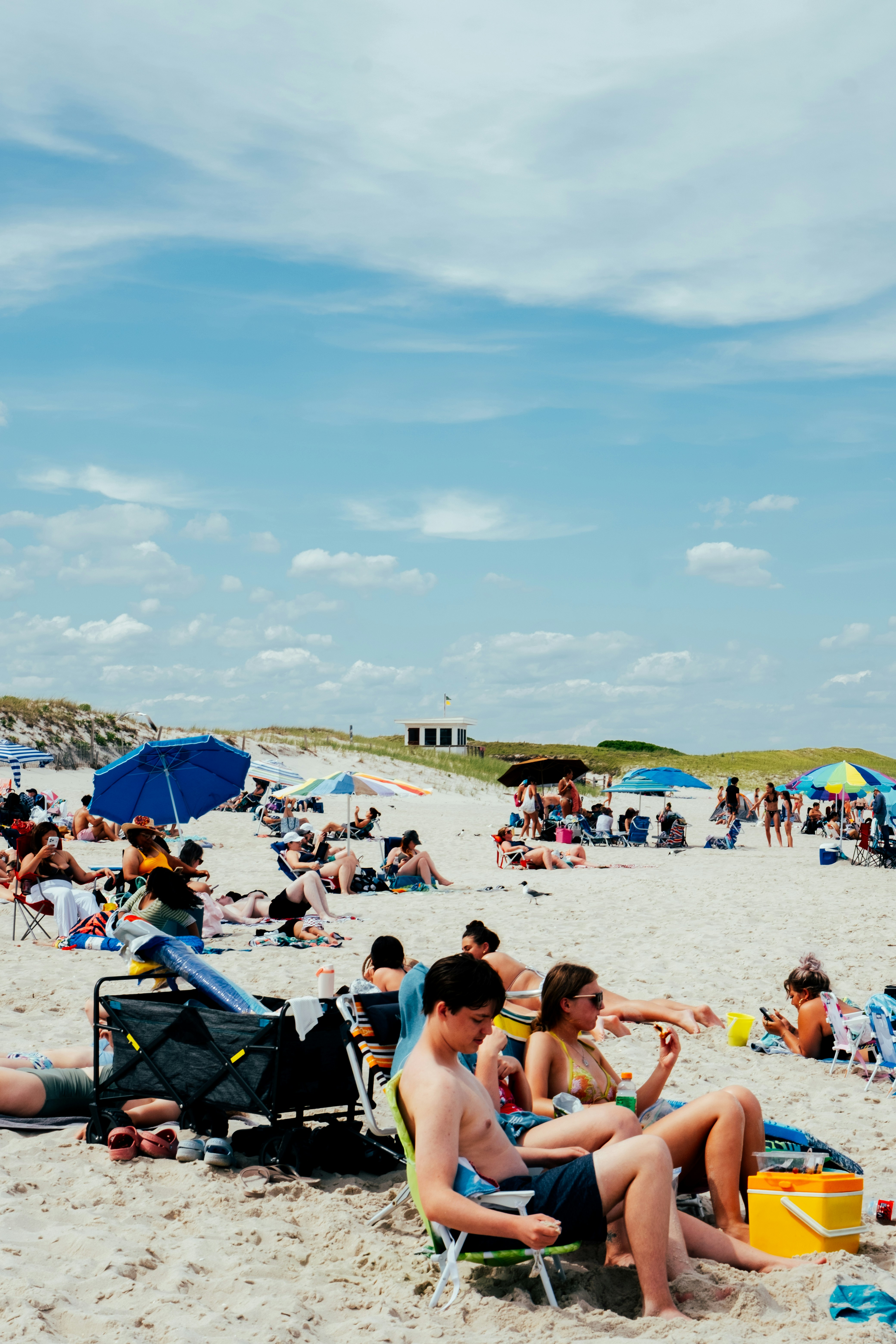 Sunlit Beach: A Lively Day by the Dunes