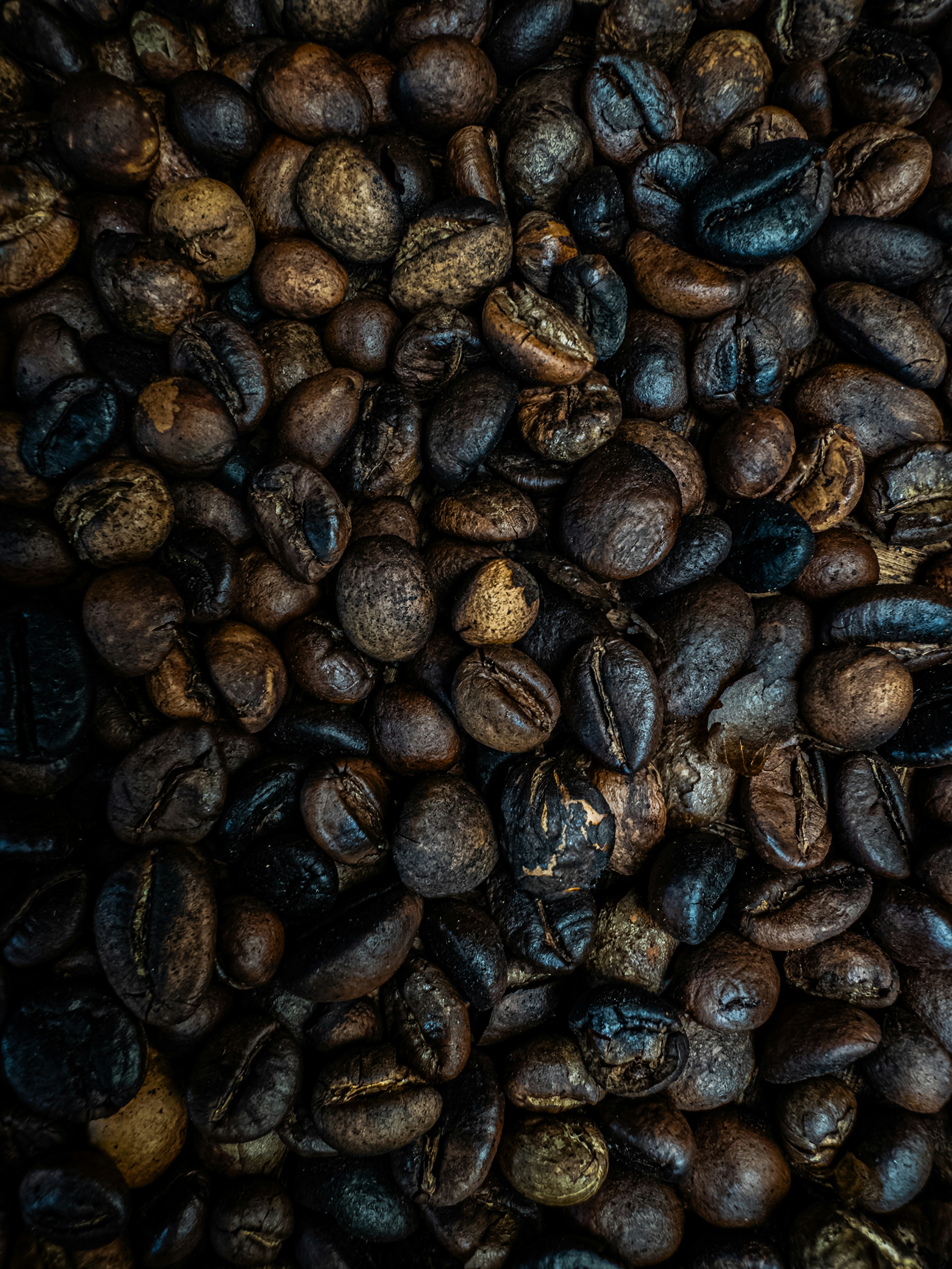 Midnight Roast: A Dense Field of Coffee Beans