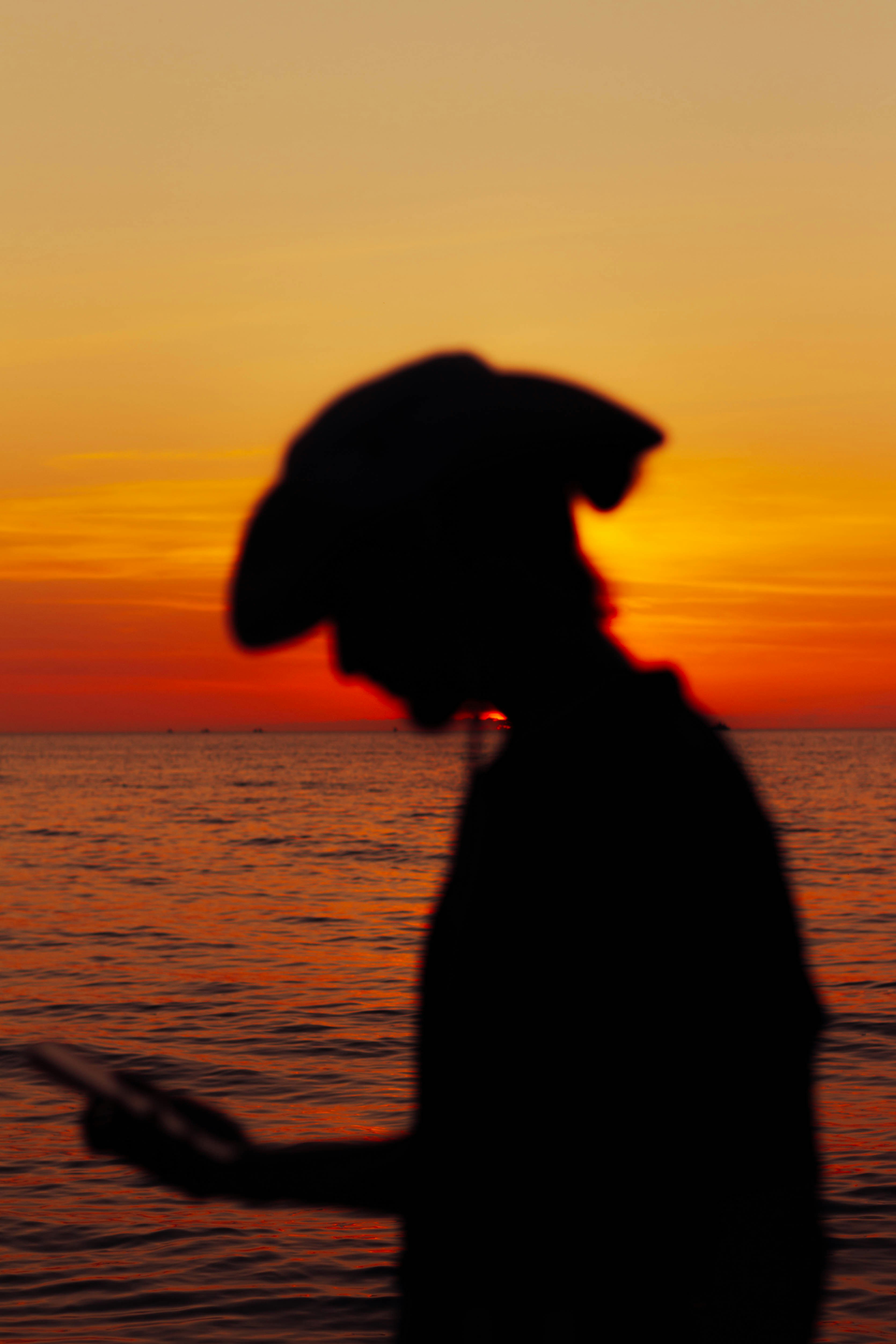 Silhouette at Dusk: A Quiet Moment with a Device Along the Horizon