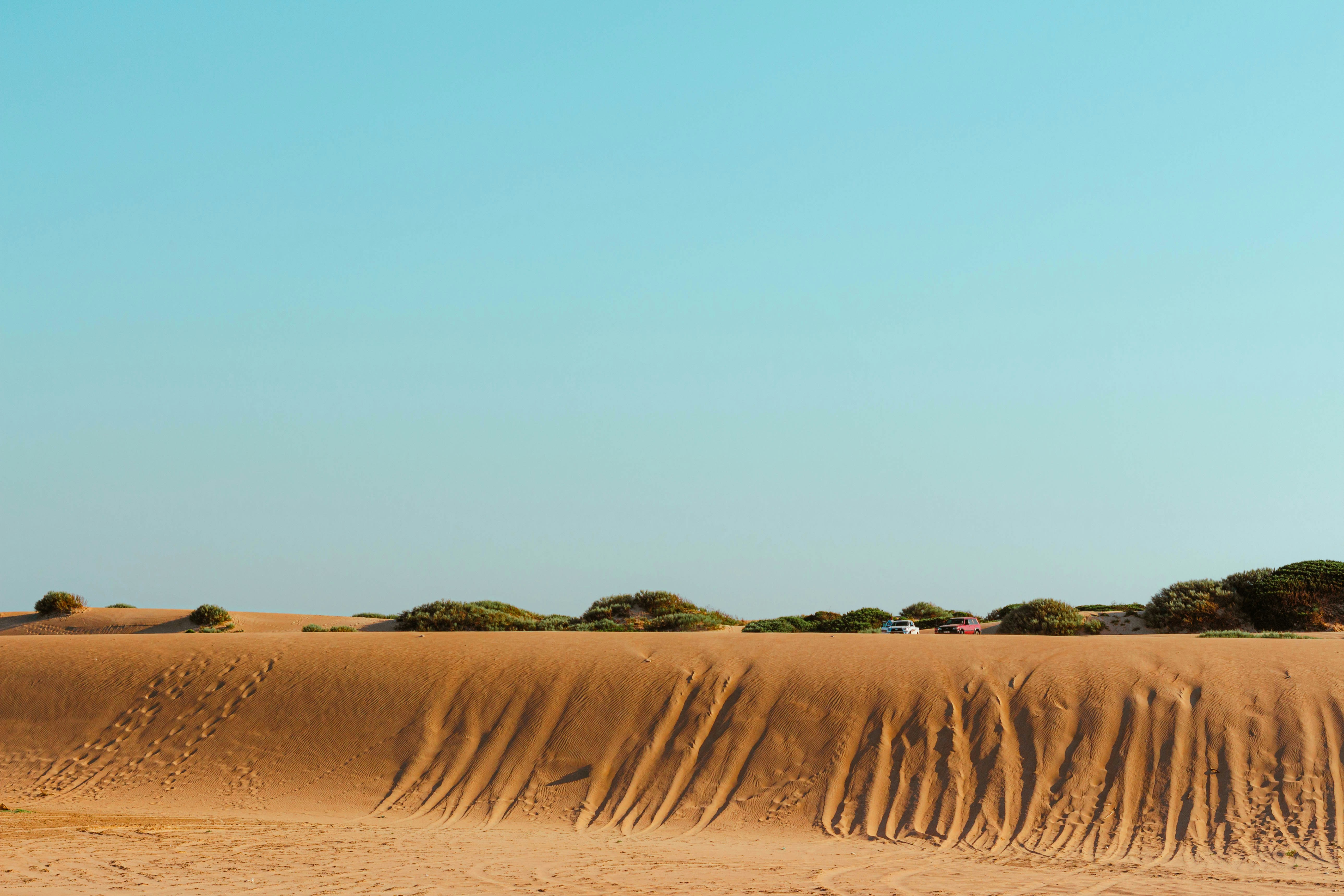 Golden Dunes under a Clear Daybreak