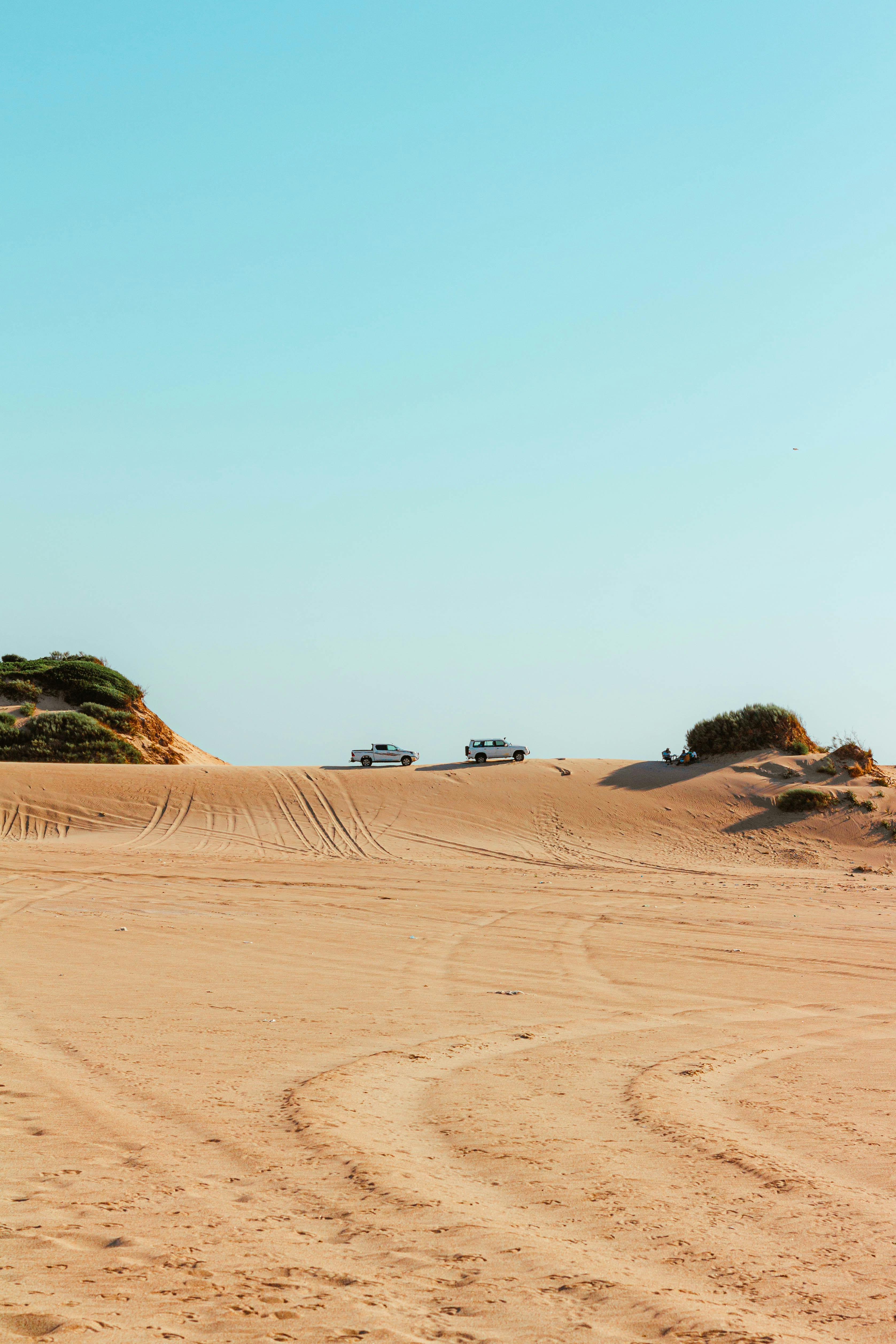 Two Pickup Trucks on a Desert Crest