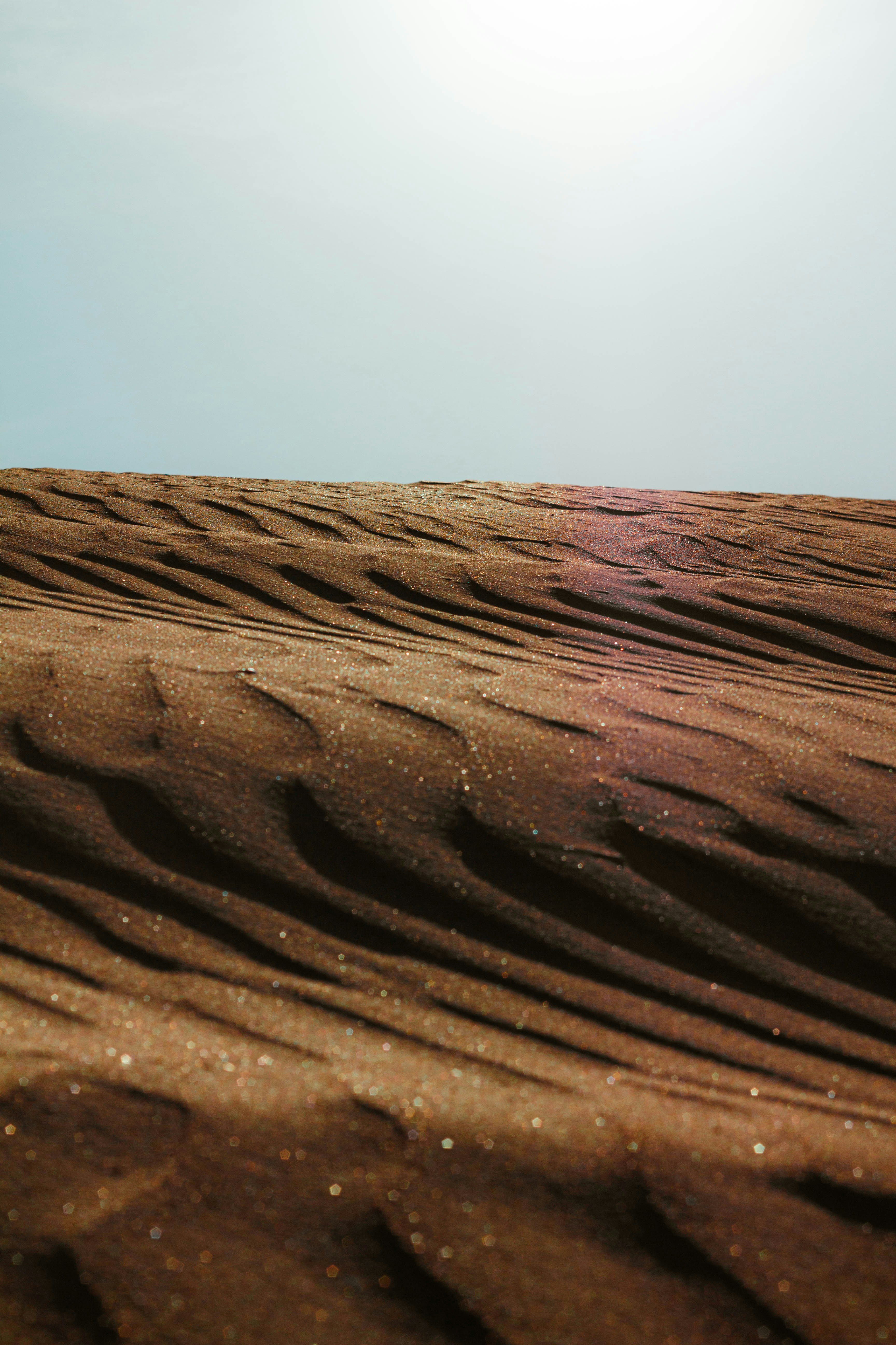 Desert Ripples: Sunlit Dunes Under Wide Sky