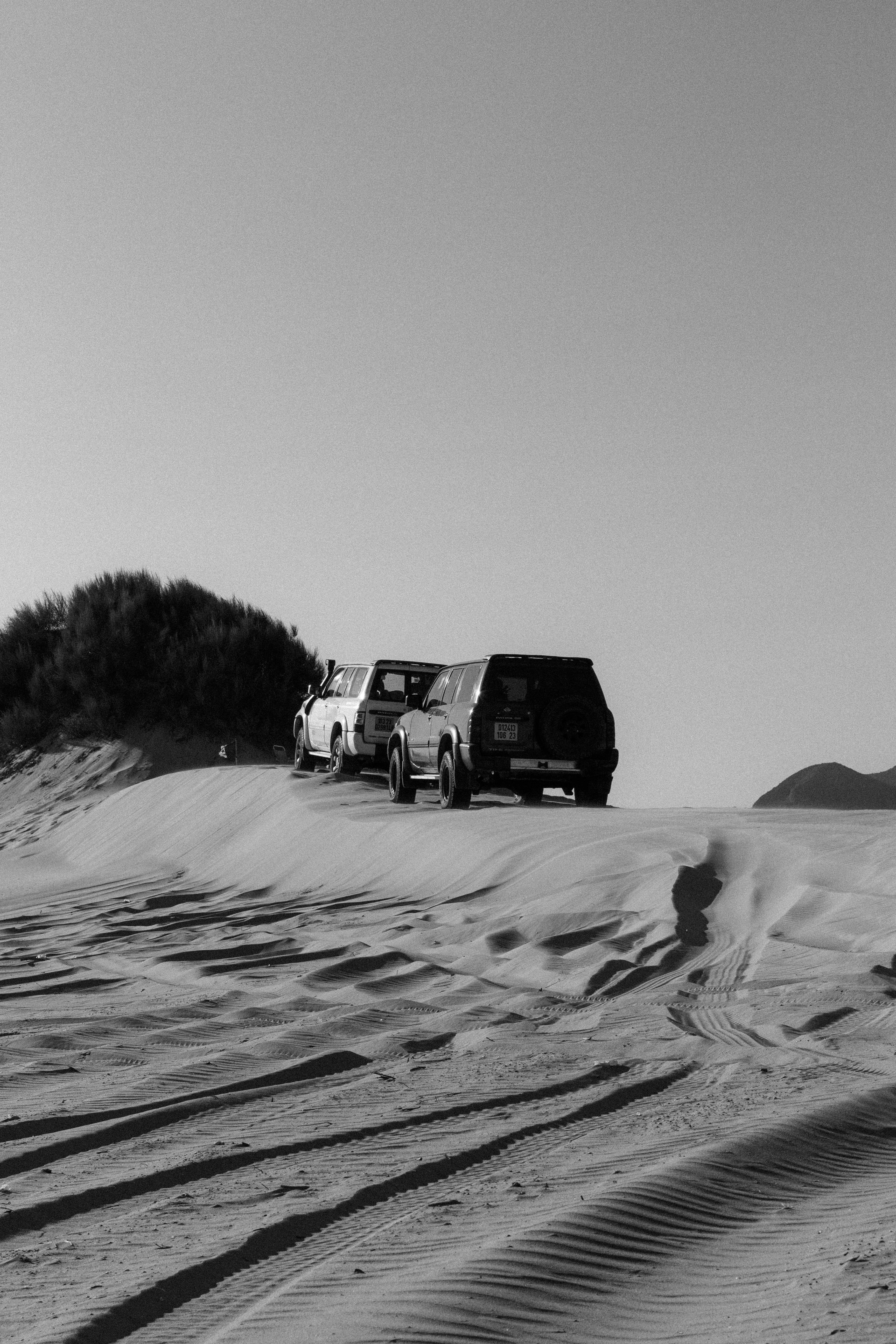Dunes in Tandem: Off-Roaders Rest at the Crest