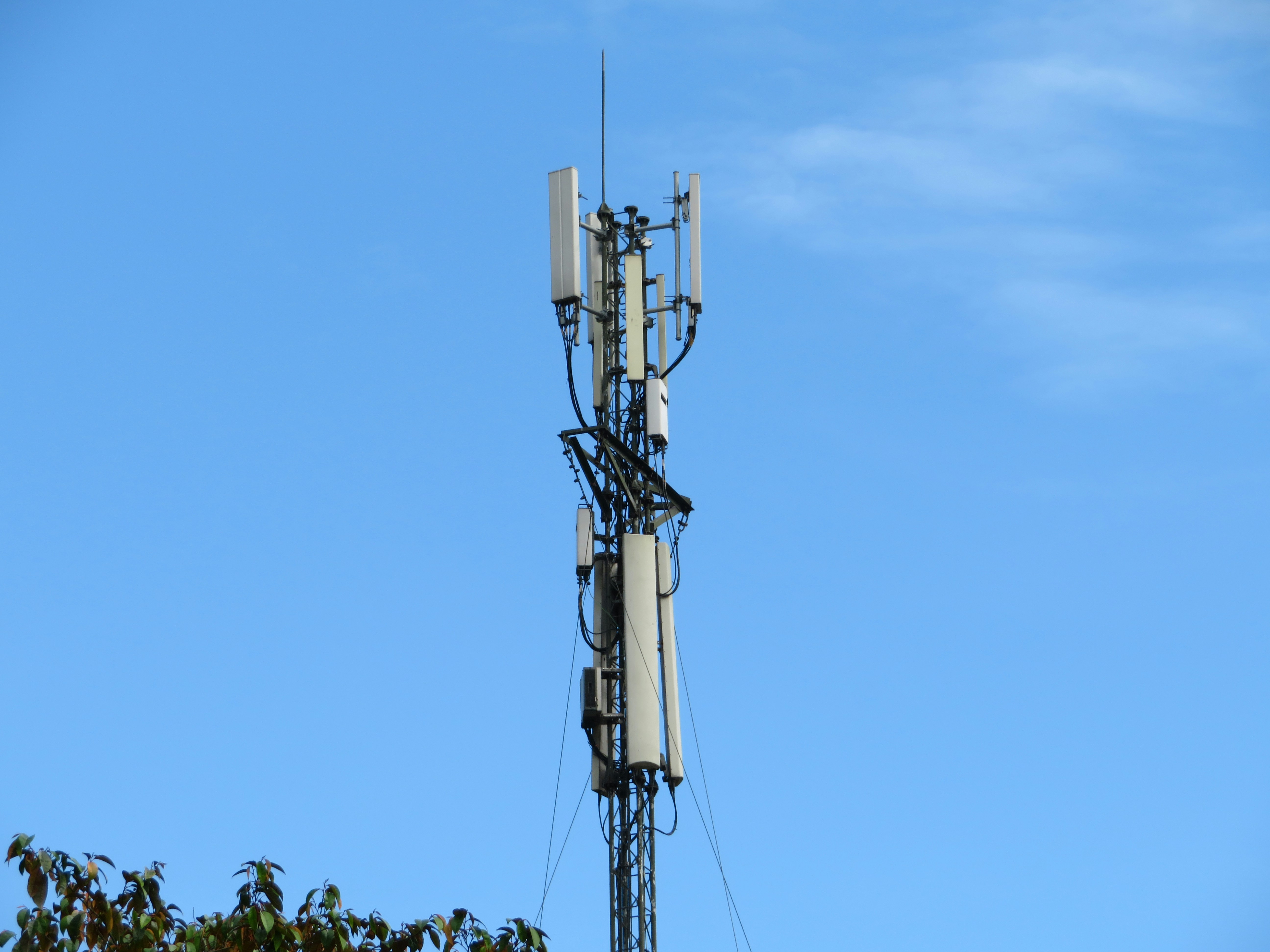 Vertical Signal: A Cell Tower Reaches Toward the Clear Sky