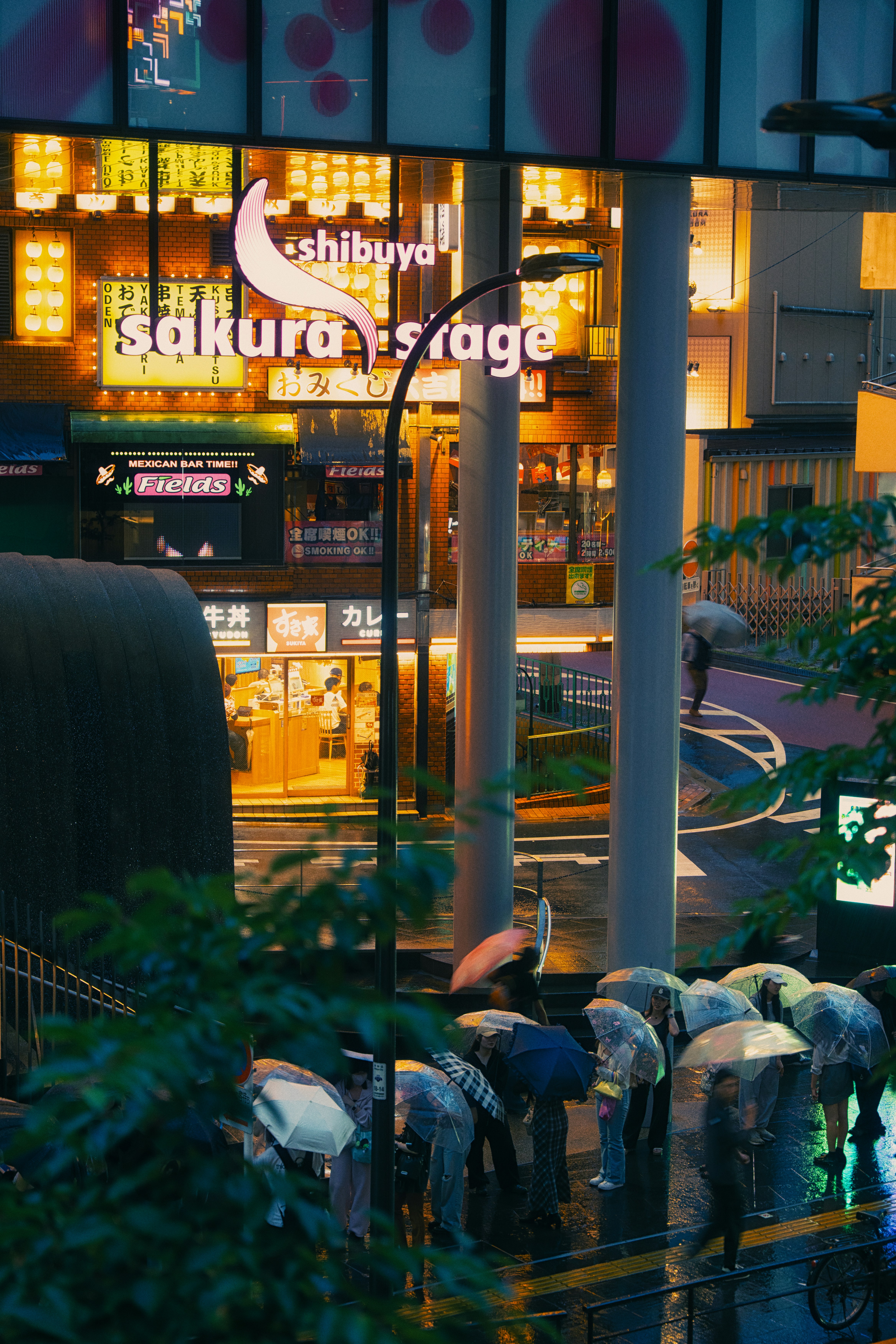 Neon Street Pulse: Shibuya Sakura Sign Amid Evening Rain