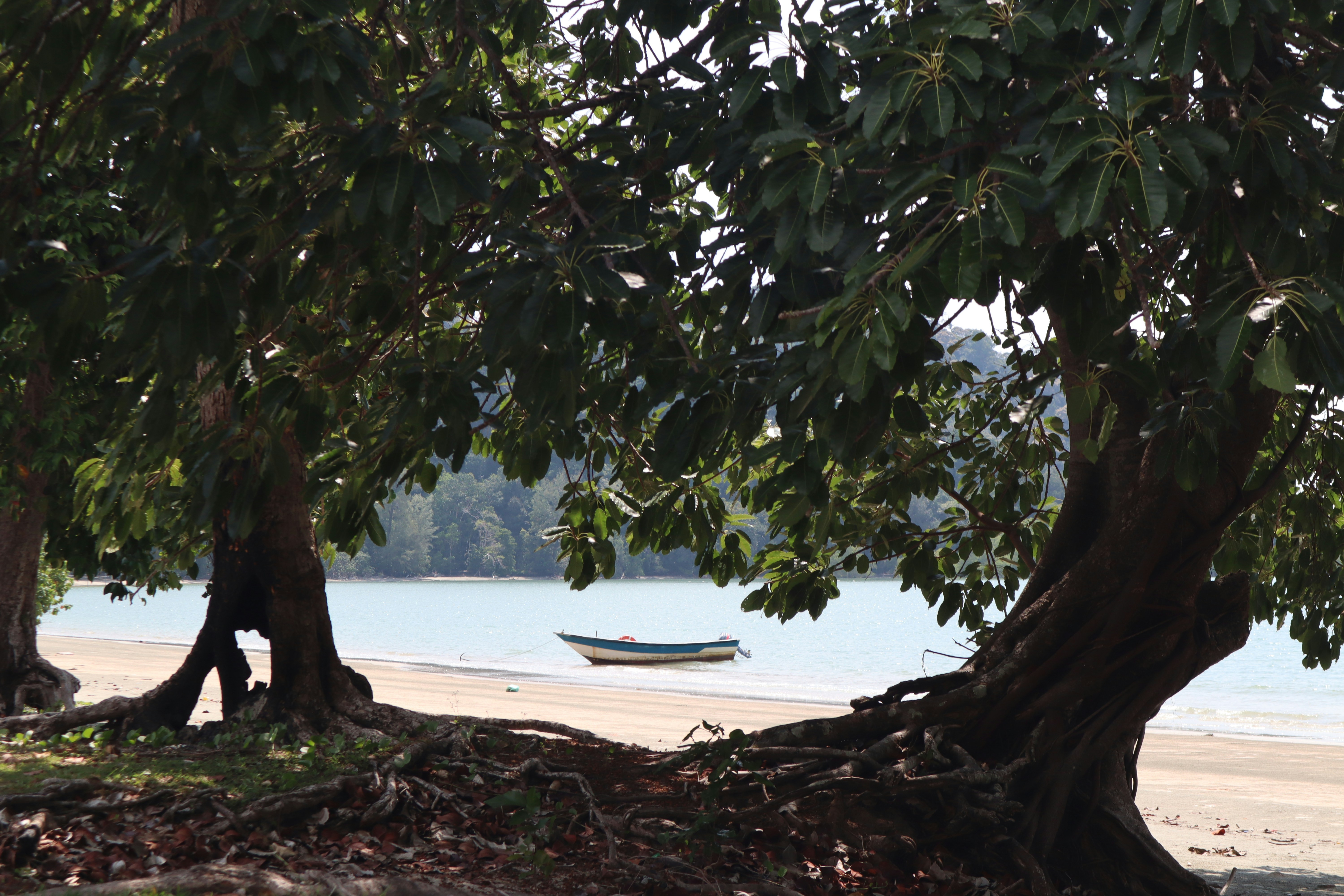 Hidden Boat at the Edge of the Tidal Frame