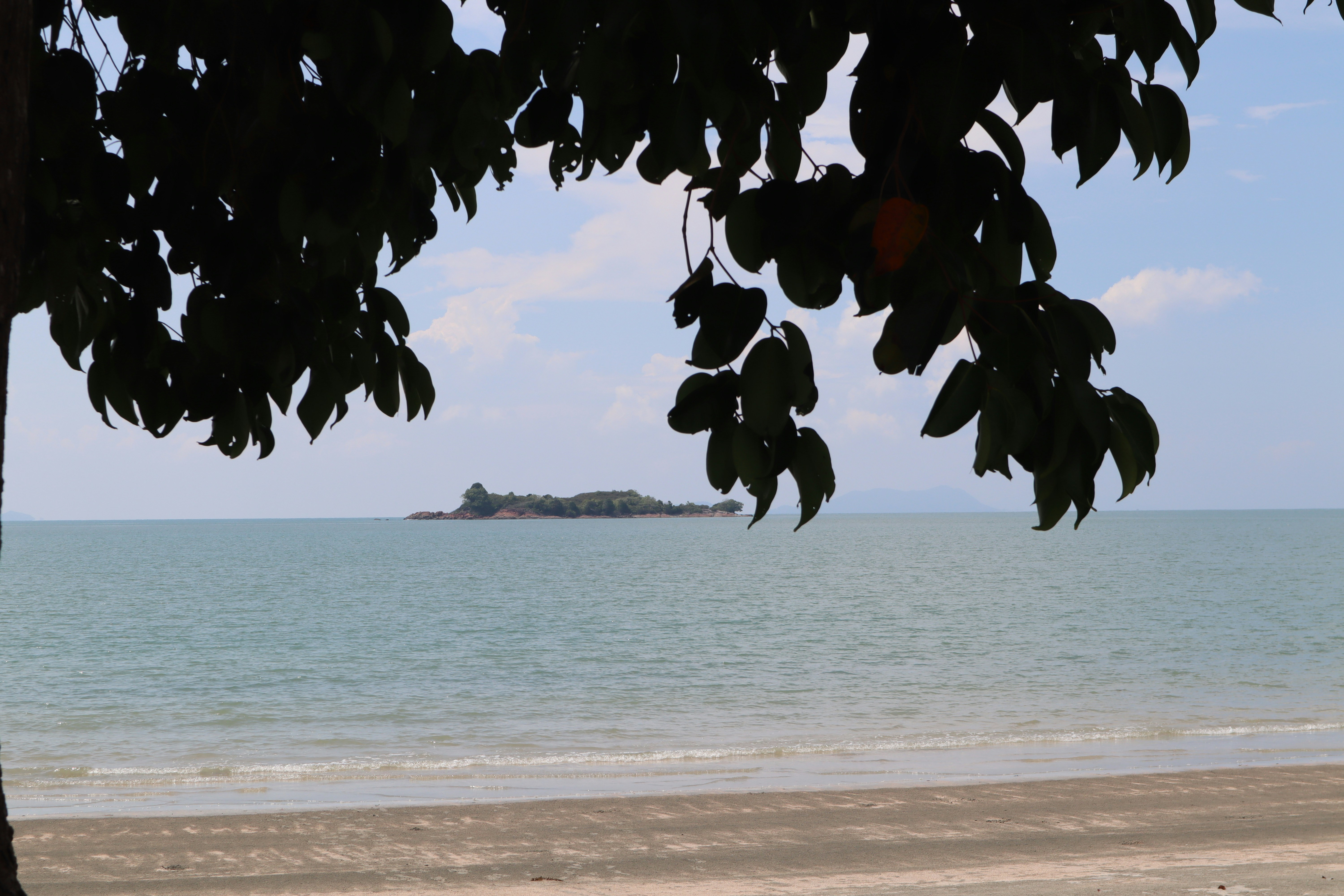 Shaded Fringe over a Quiet Shore