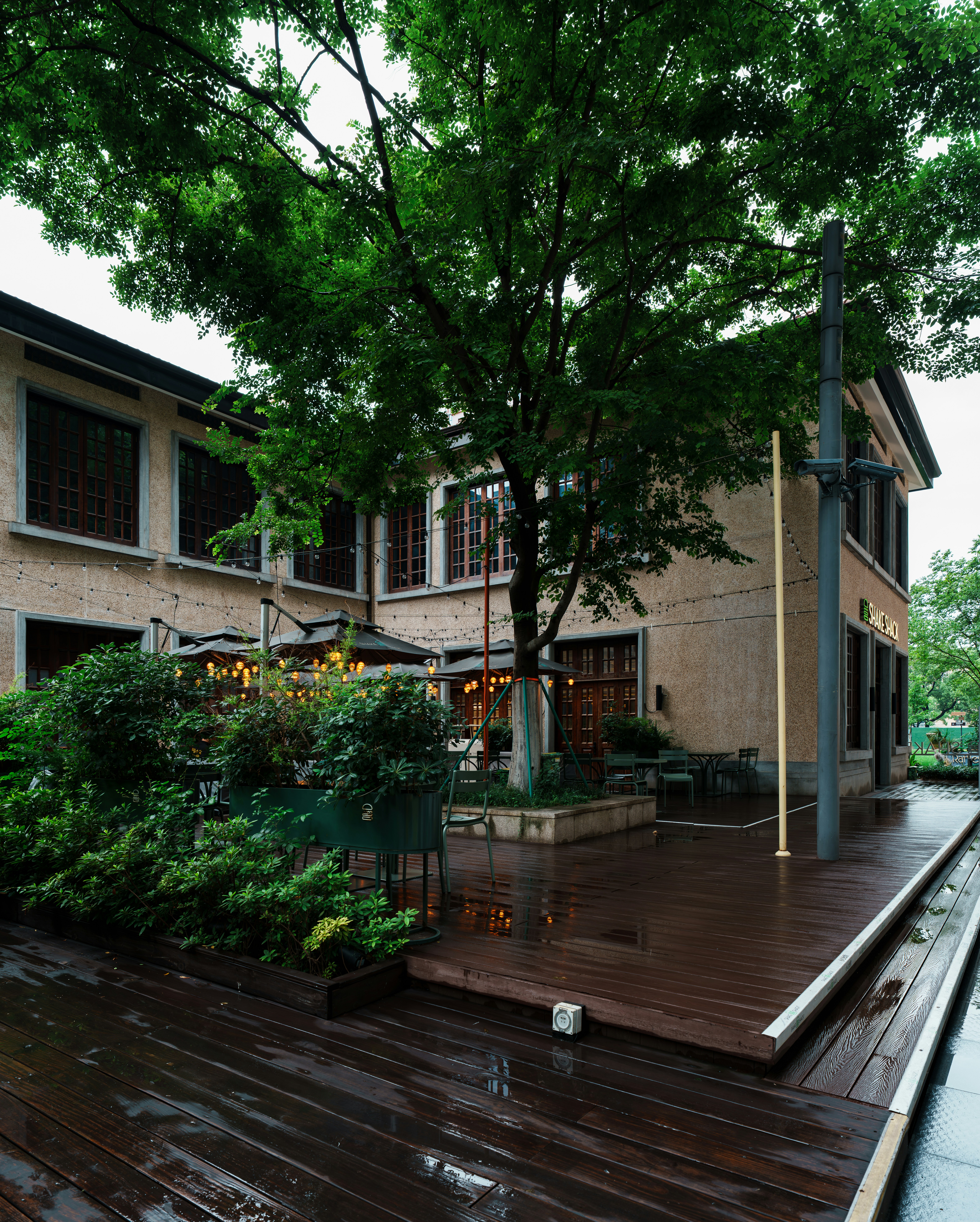 Rain-Kissed Courtyard at Dusk