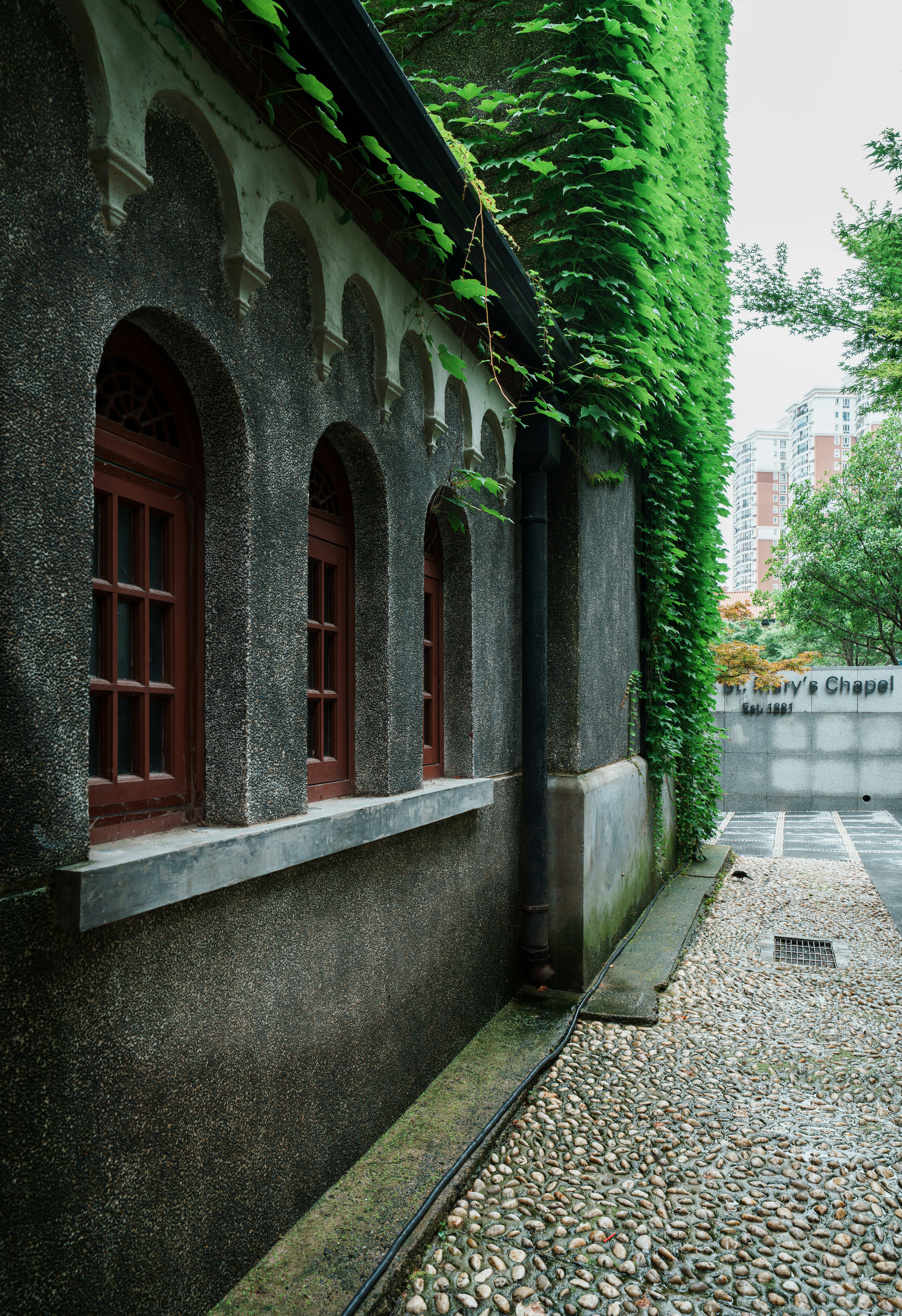 Vine-Covered Wall and Cobblestone Path toward a Quiet Courtyard