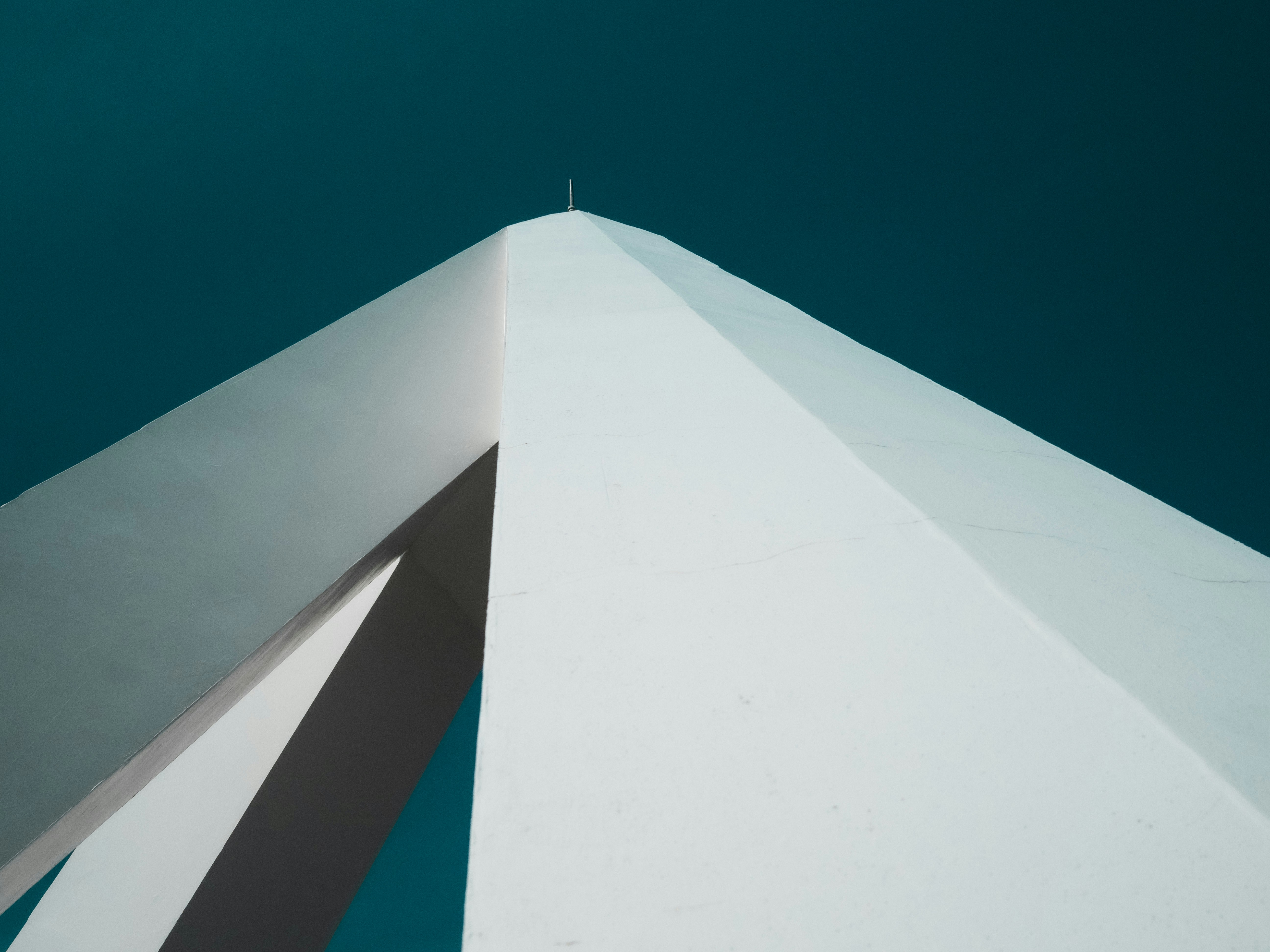 Angular Apex: A Fang of White Against Deep Teal