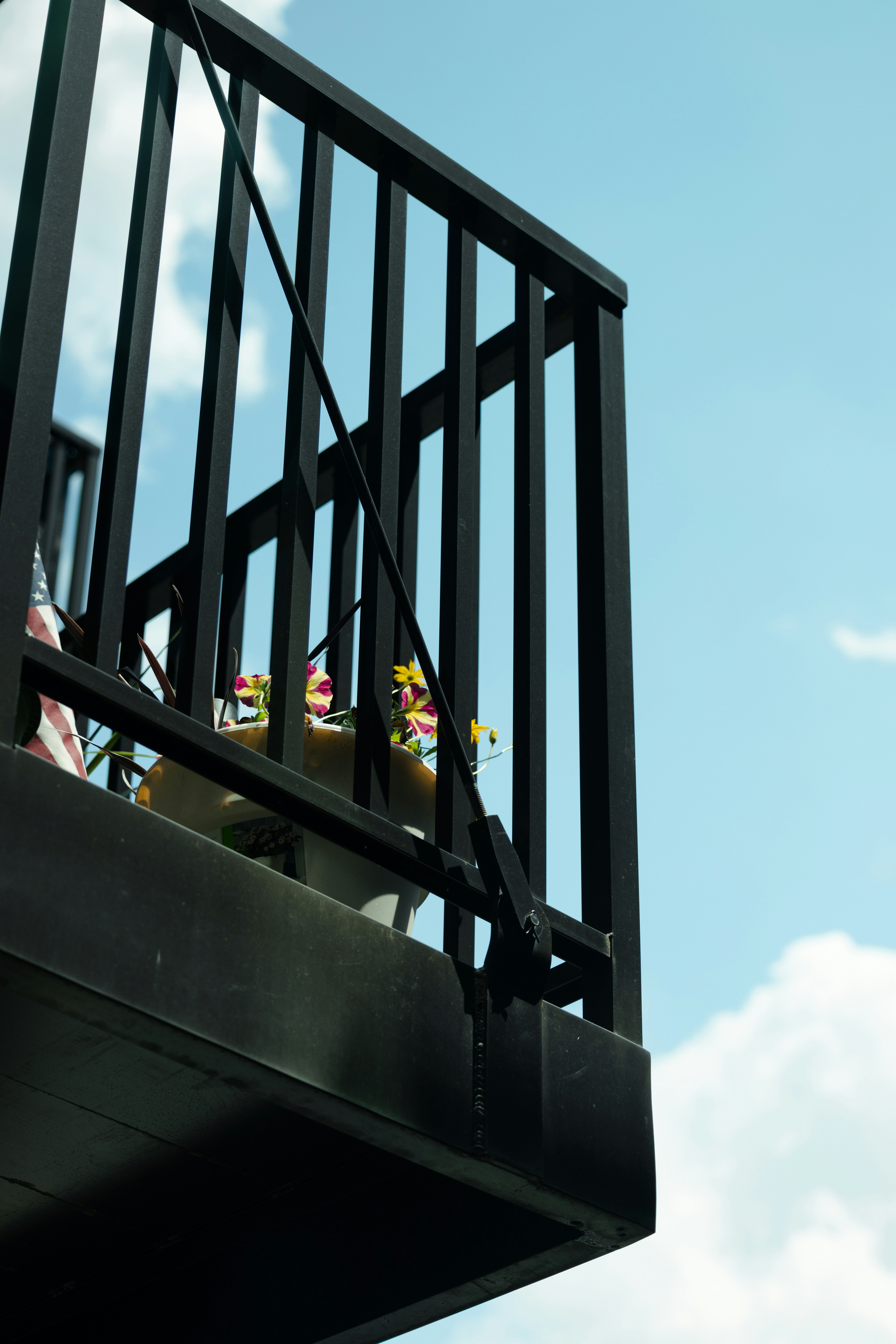 Balcony Edge: Potted Flowers and Steel Railing Against a Clear Sky