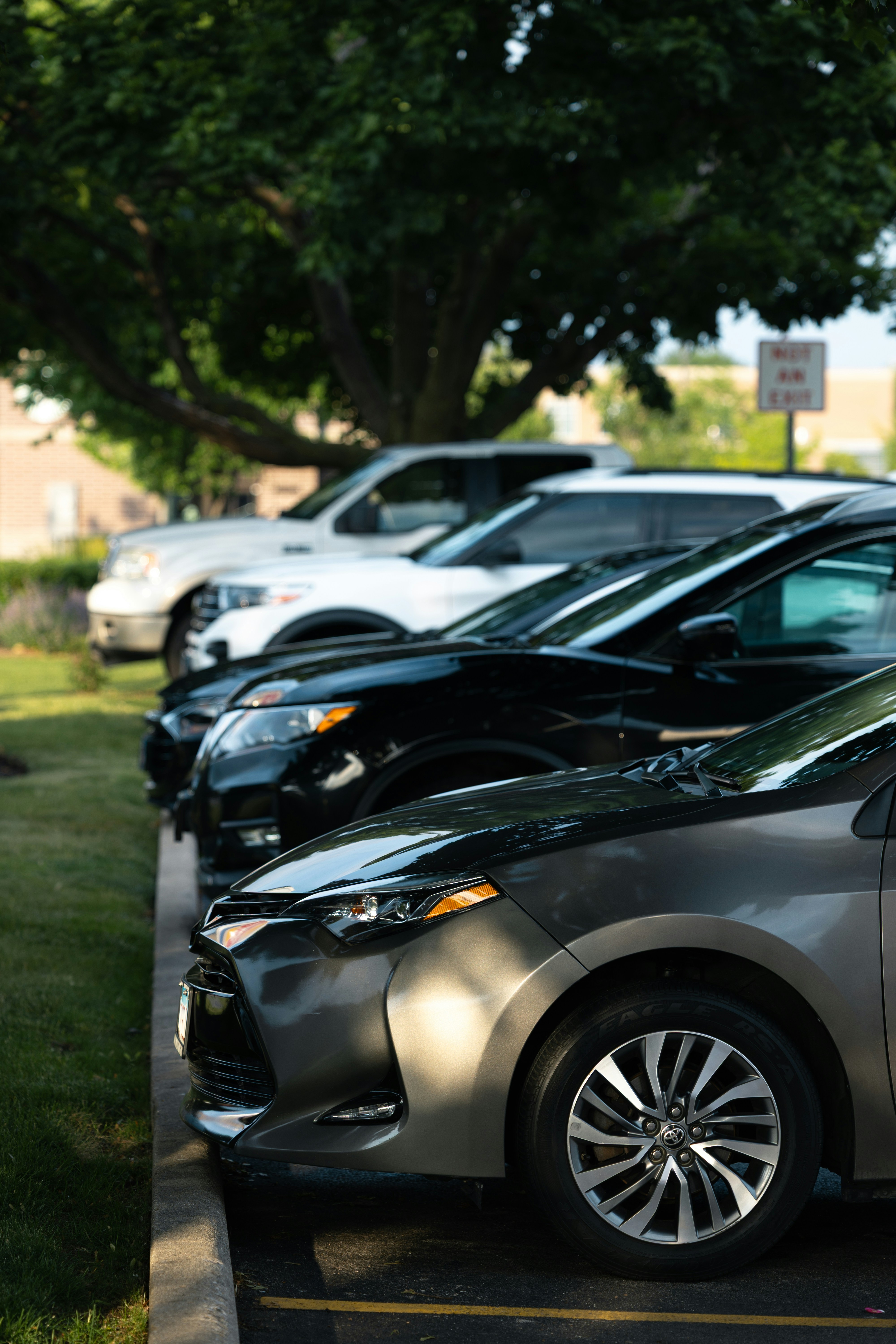 Front Row Parking: Sunlit Grays and Chrome in a Quiet Lot