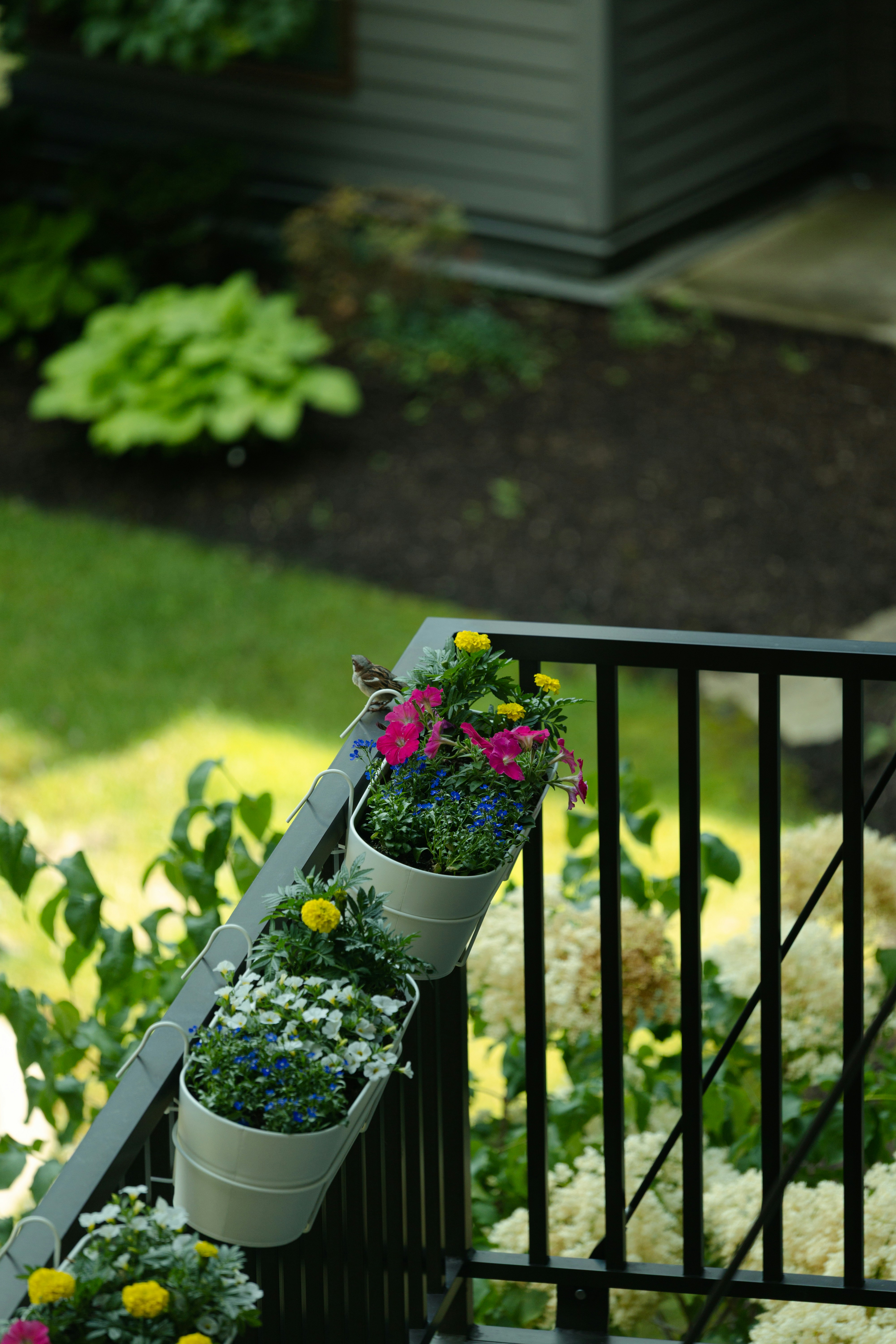 Hanging Blooms: A Row of Flower Pots Drape the Railing