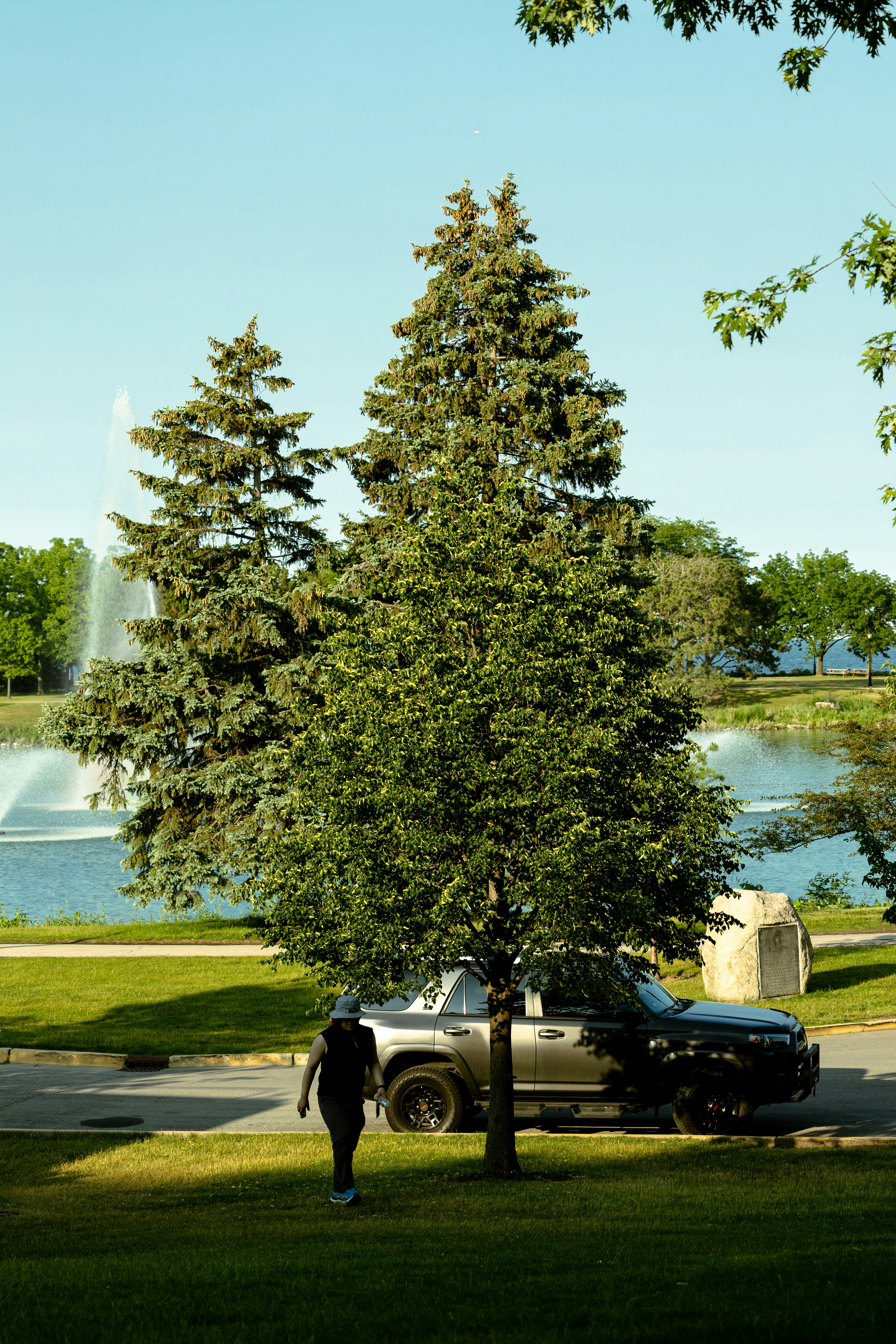 Car and Person Silhouetted by Central Park Tree and Fountain Border