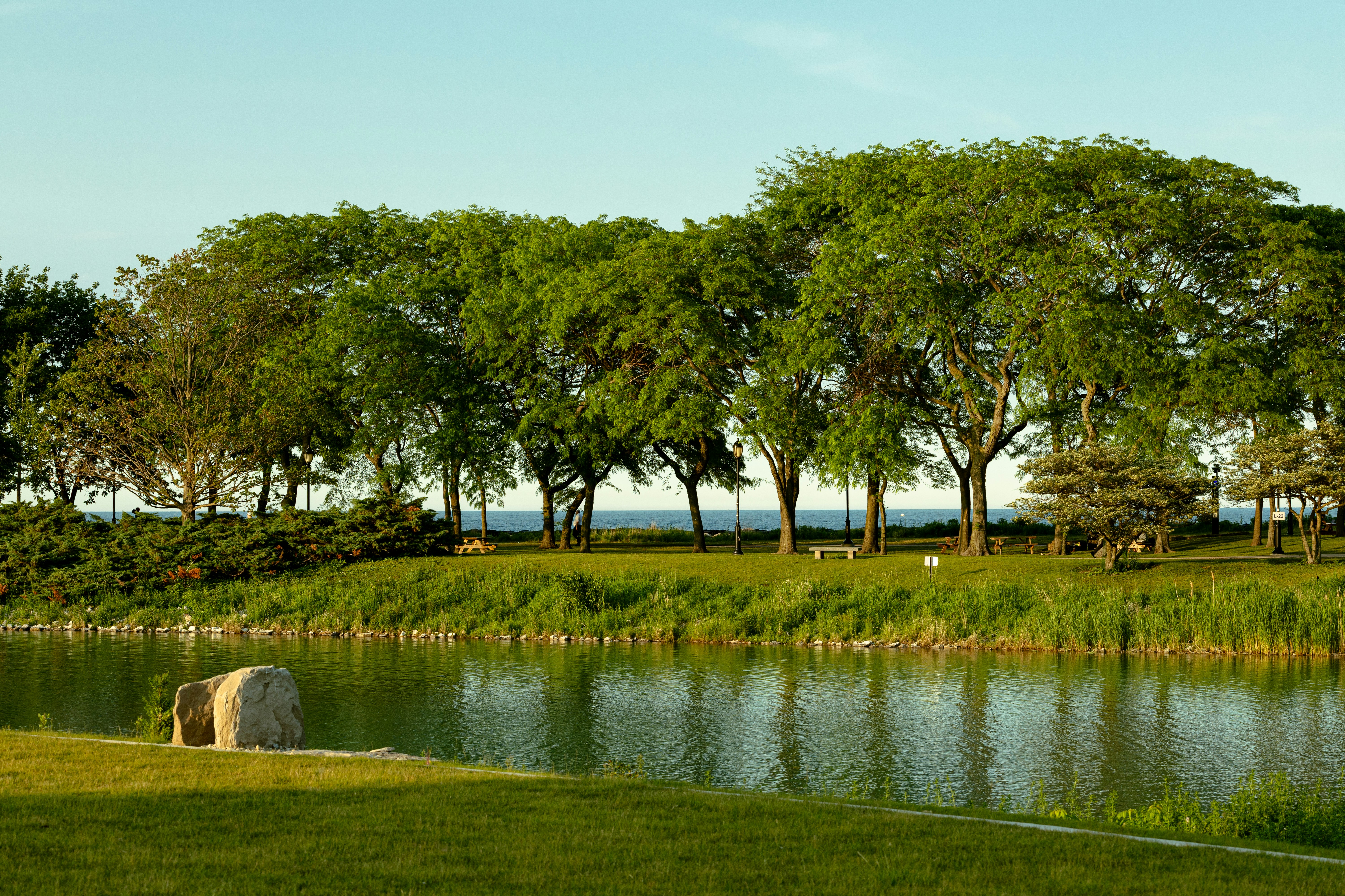 Sunlit Riverside Park with Row of Trees and Calm Water
